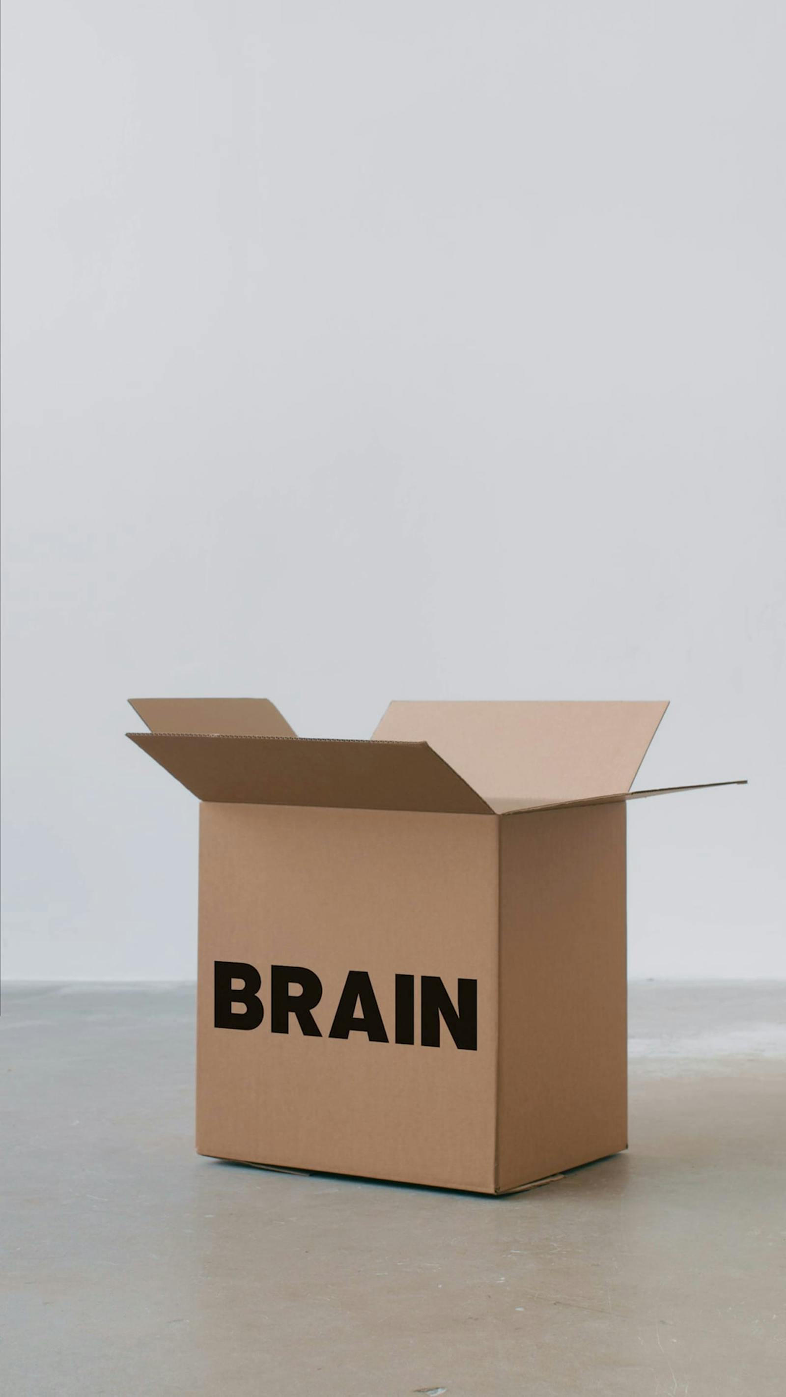 Open Box Videos, Download The BEST Free 4k Stock Video Footage & Open ...