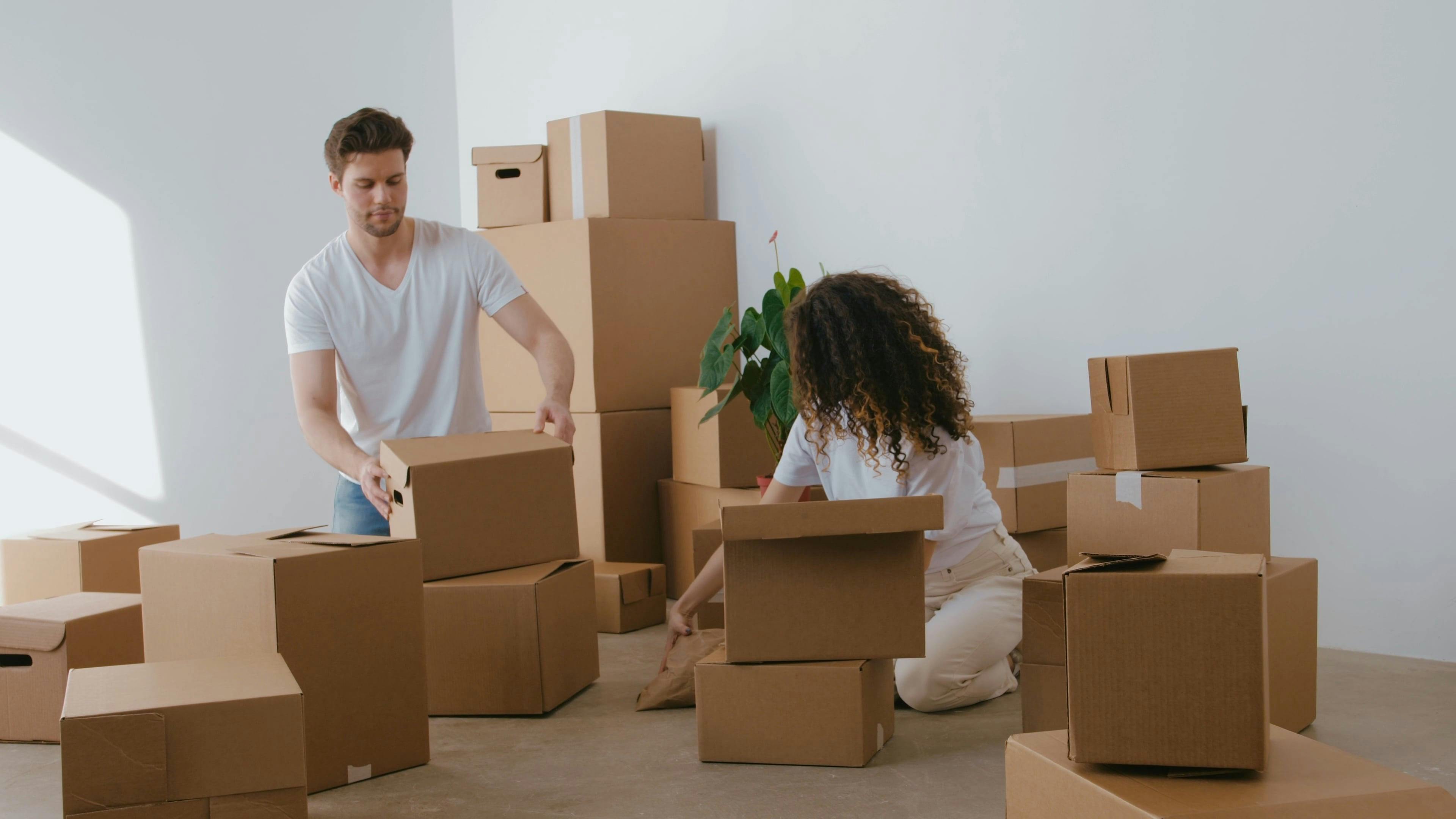 Couple Packing Things Together · Free Stock Video