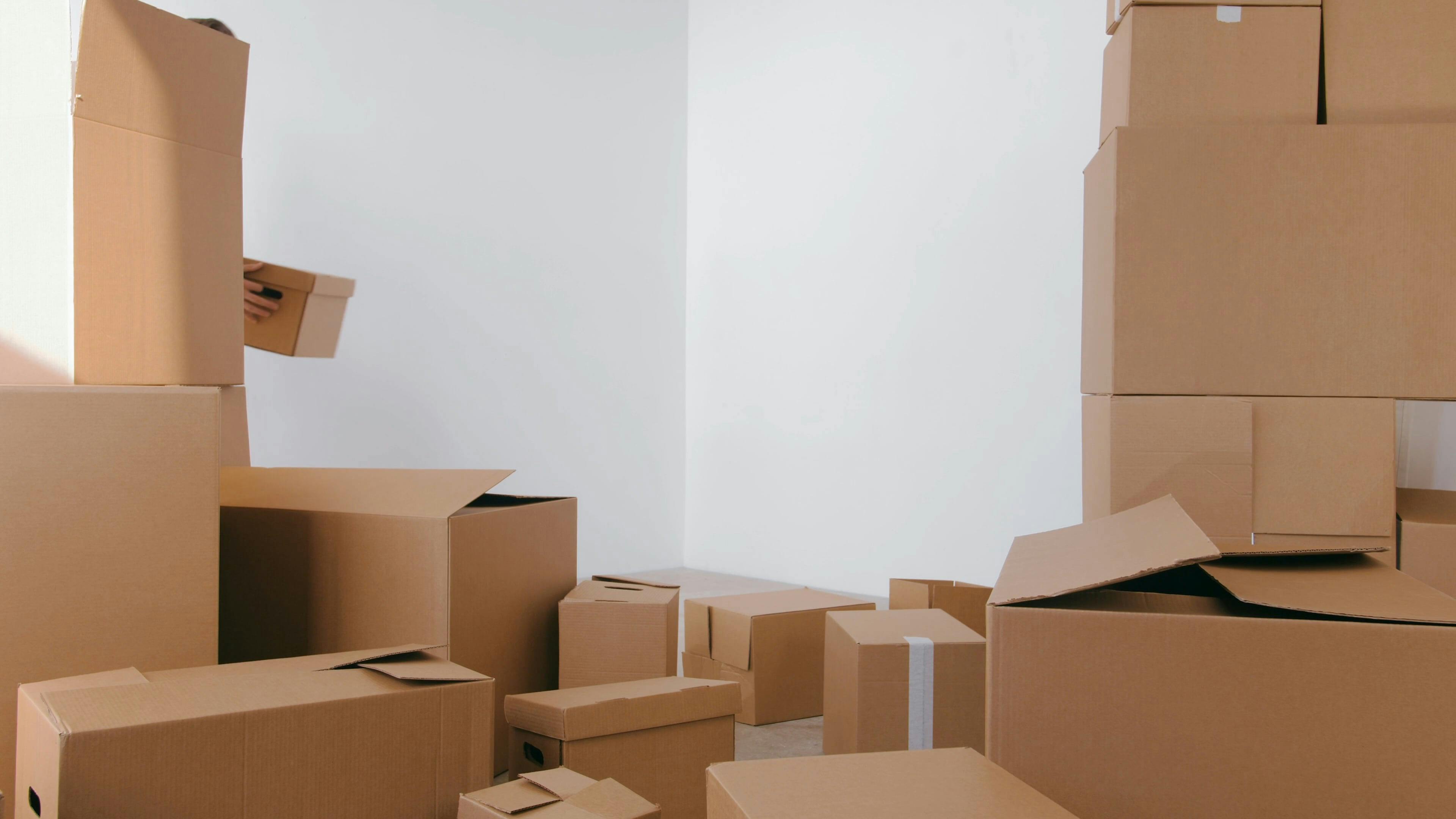 A Couple Carrying Boxes · Free Stock Video