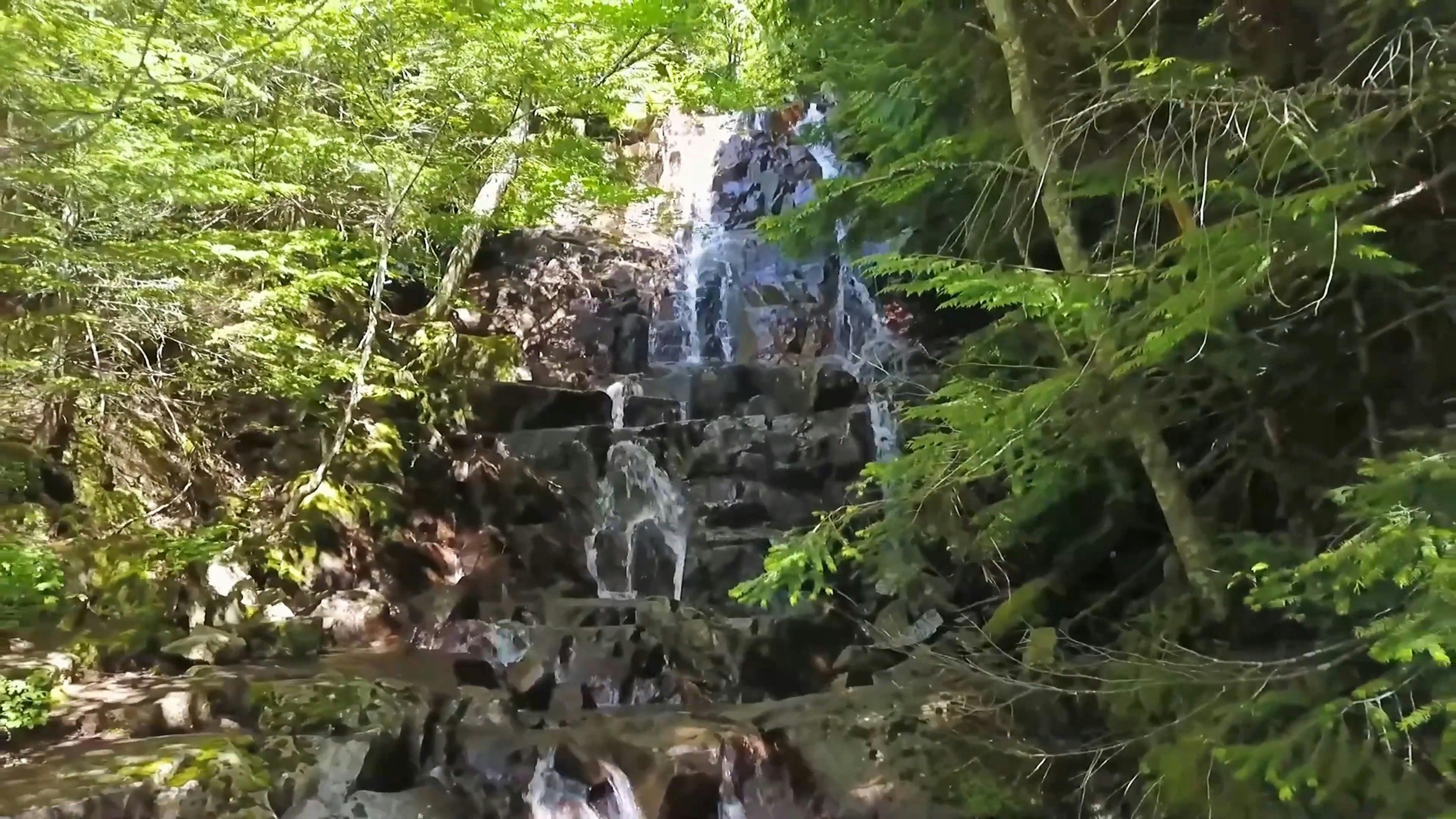 Wildlife Waterfall Videos, Download The BEST Free 4k Stock Video Footage & Wildlife Waterfall HD ...