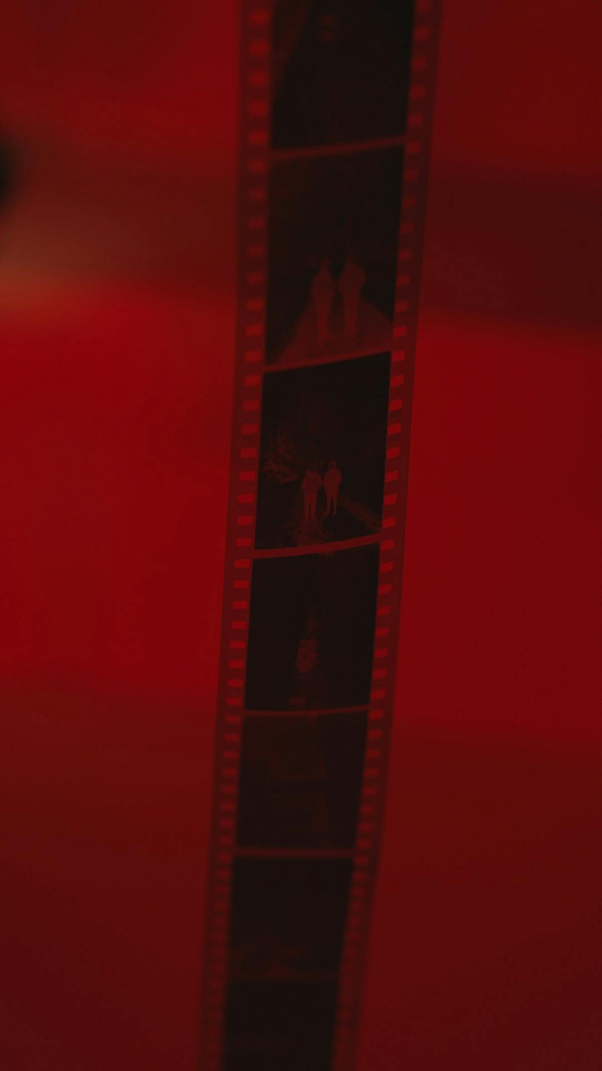 Color Grading Videos, Download The BEST Free 4k Stock Video Footage ...