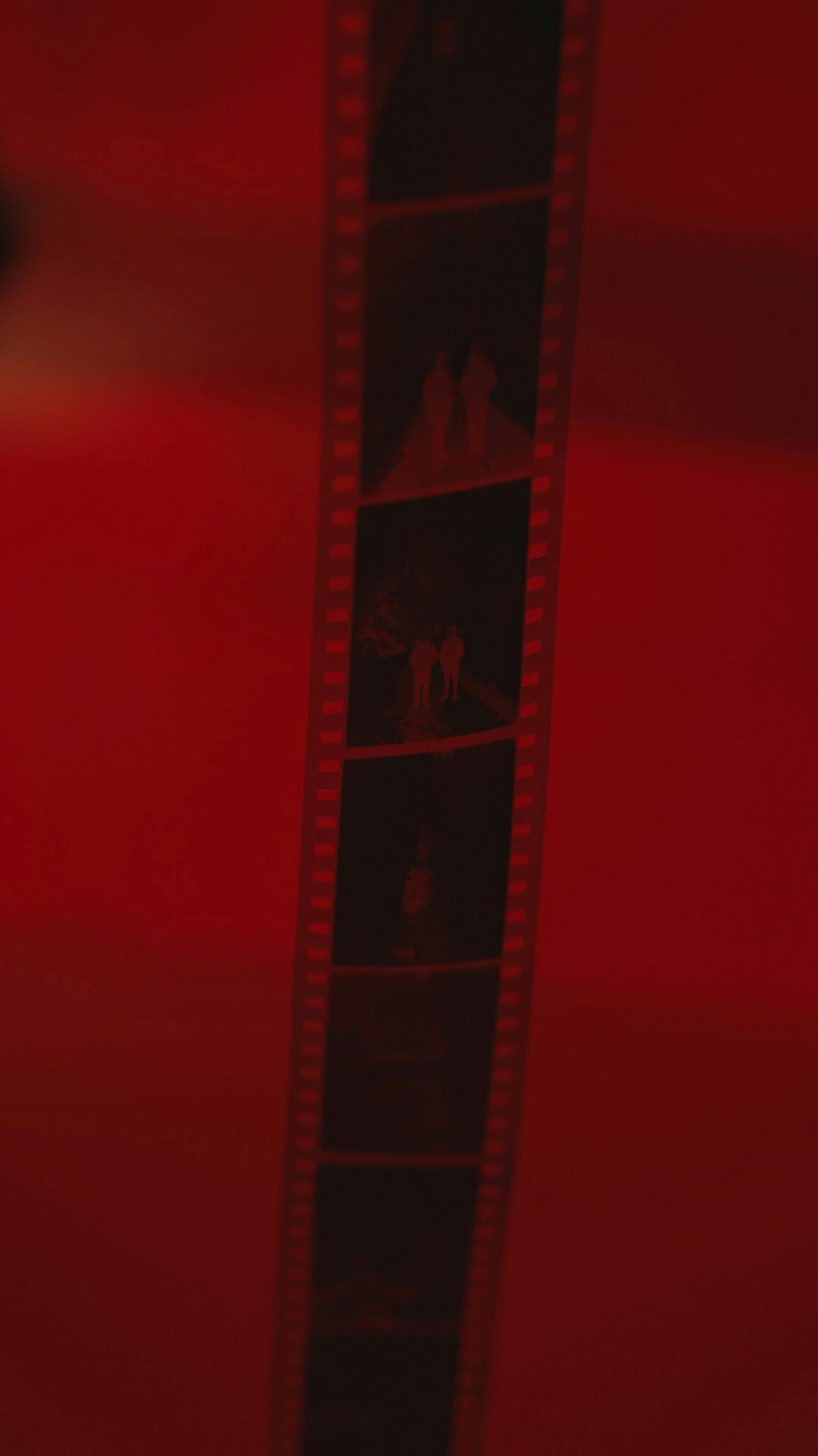 Color Grading Videos, Download The BEST Free 4k Stock Video Footage ...