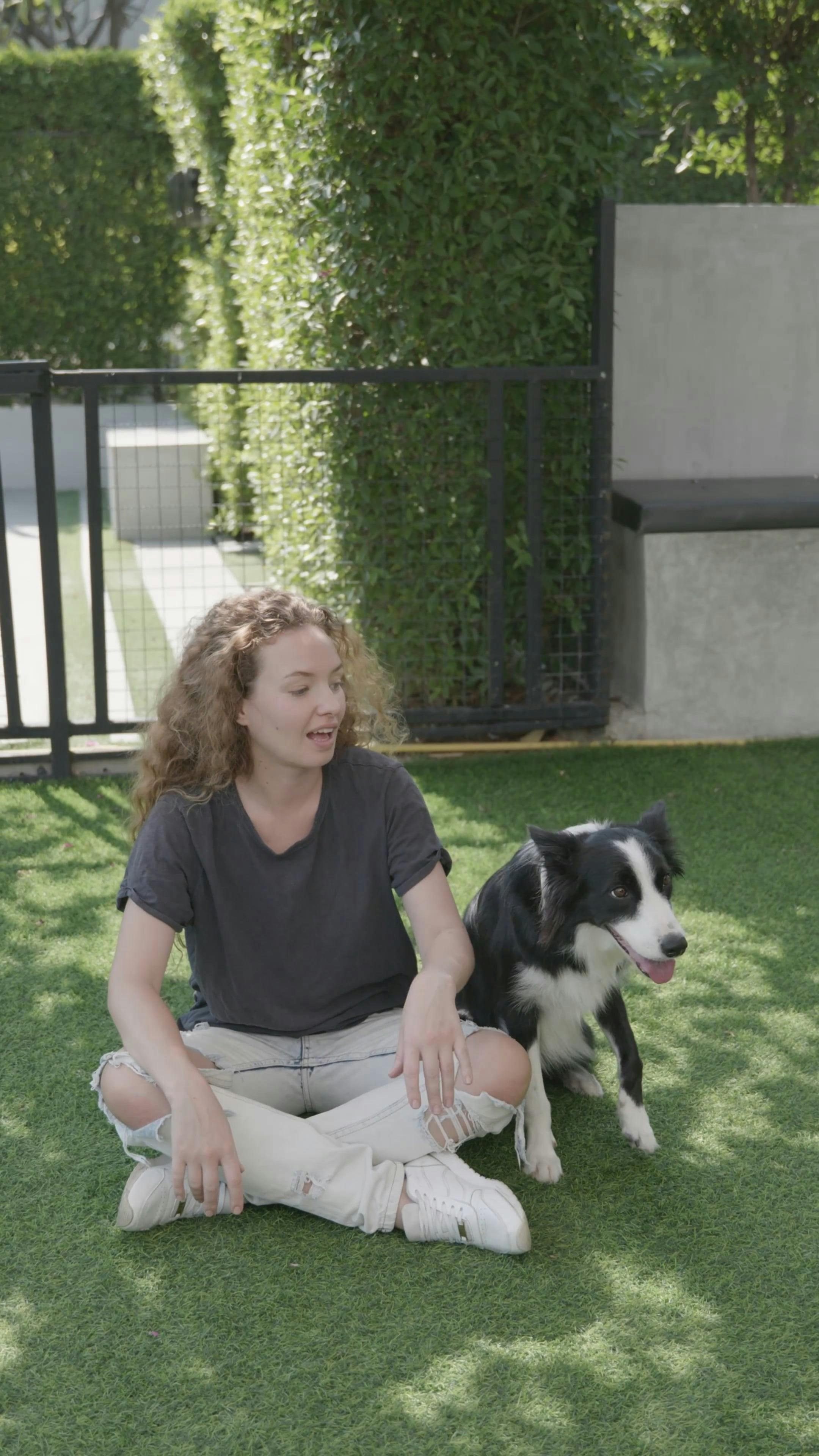 Dog Copying a Woman Free Stock Video Footage, Royalty-Free 4K & HD ...