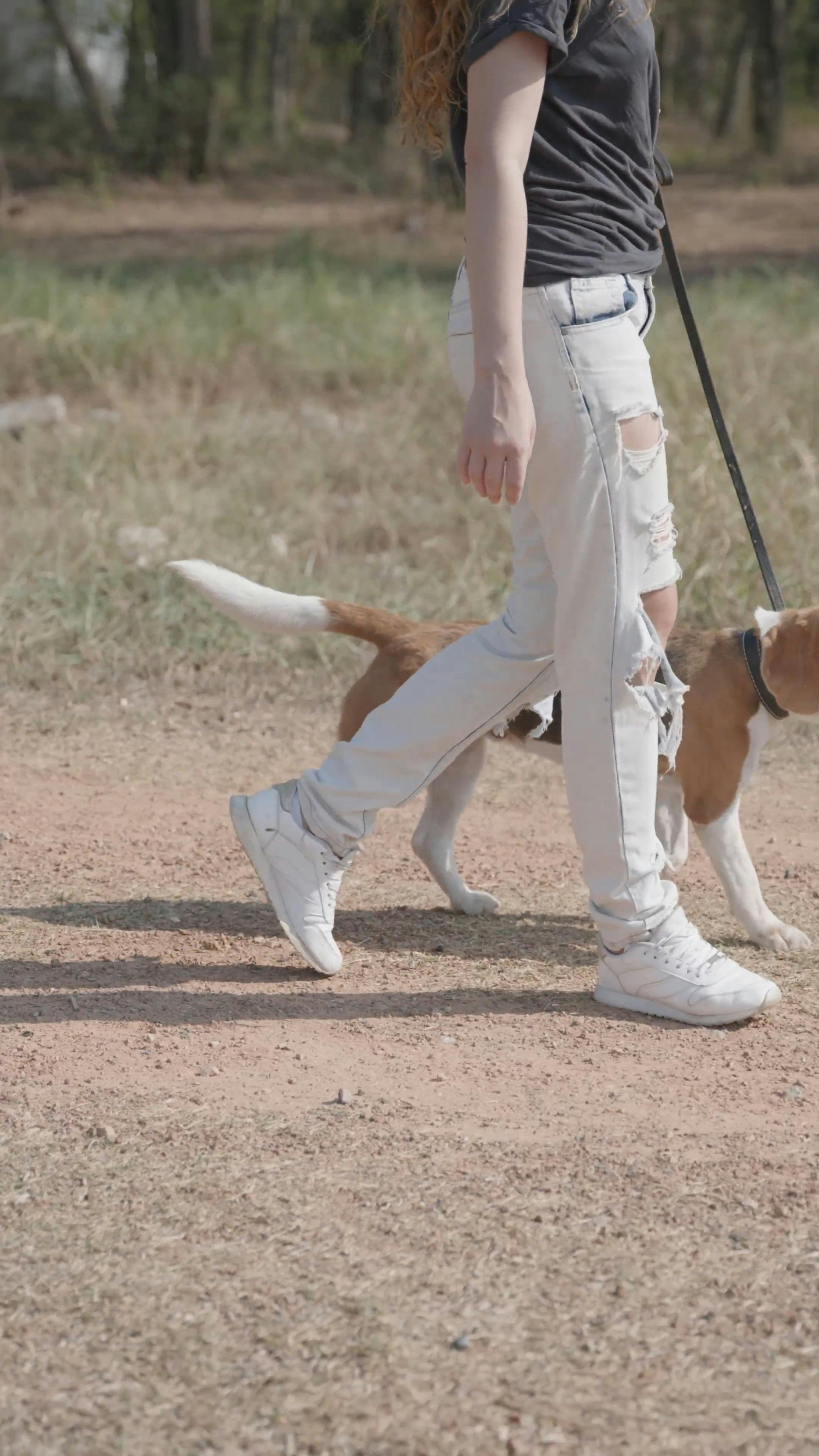 Vídeos de stock gratuitos sobre actividad al aire libre, activo, aire ...