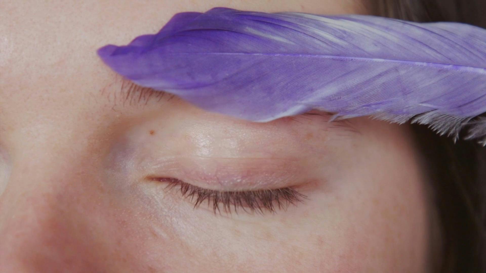 Purple Feather Videos, Download The BEST Free 4k Stock Video Footage ...