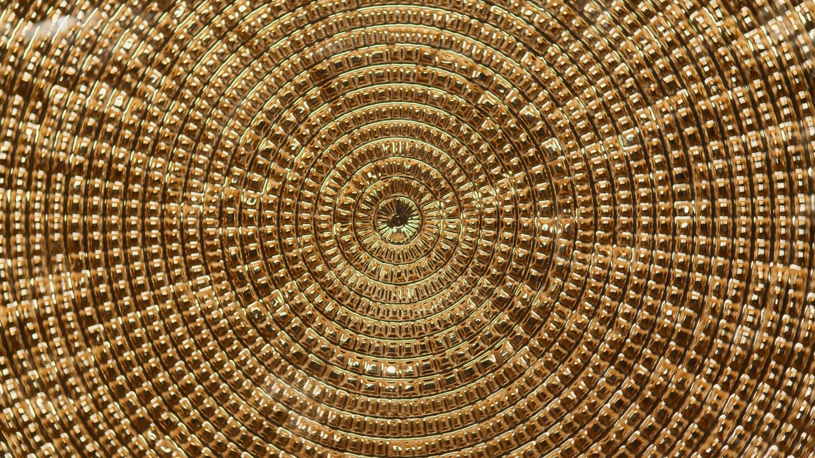 Round Asses Videos, Download The BEST Free 4k Stock Video Footage ...