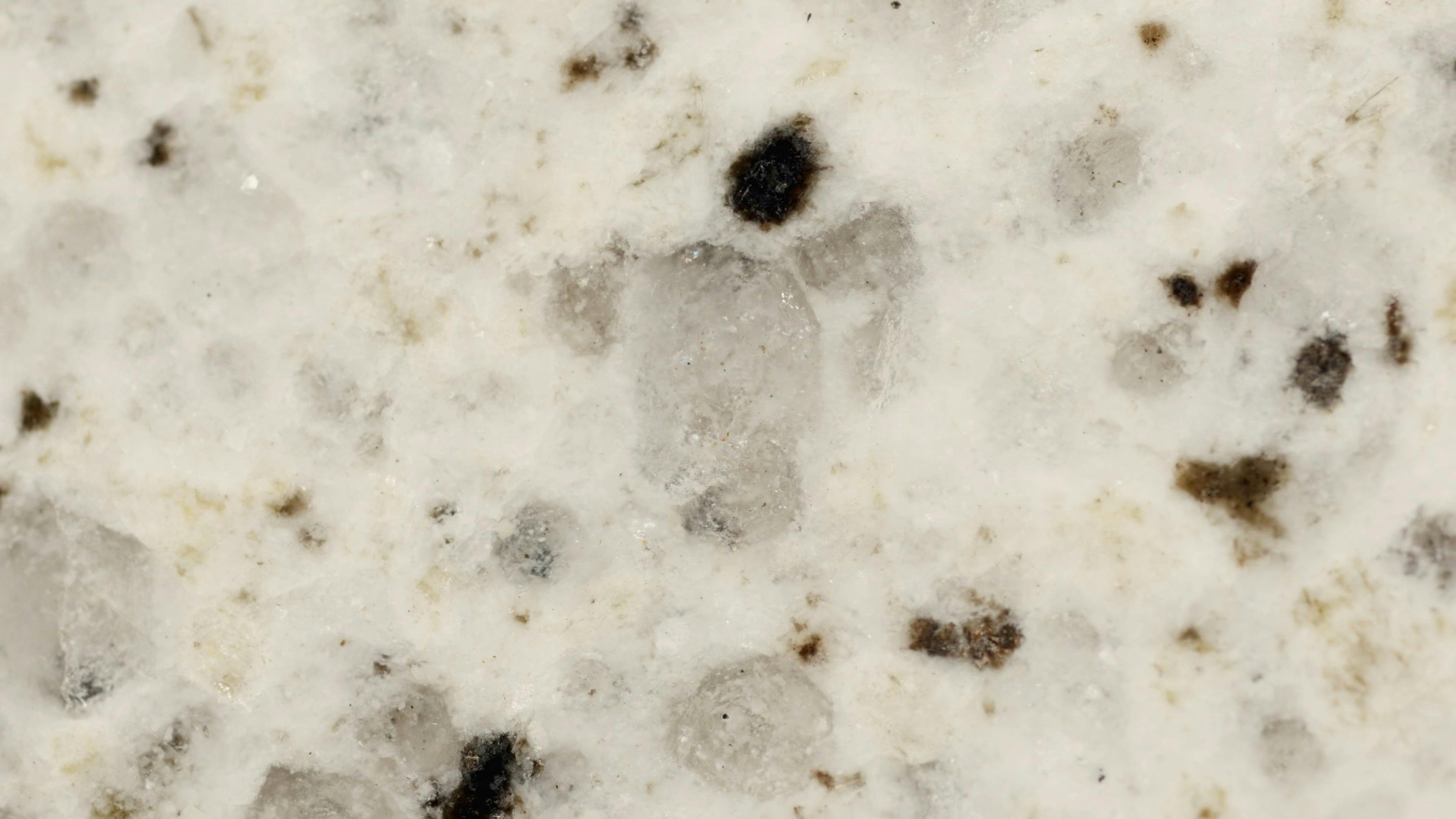 Black Spots on White Surface Free Stock Video Footage, Royalty-Free 4K ...