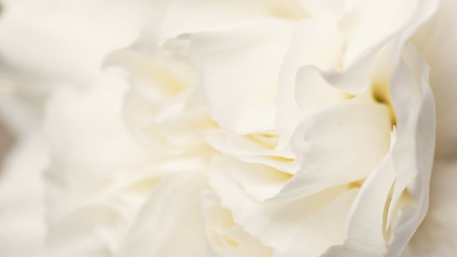 High Resolution Videos, Download The BEST Free 4k Stock Video Footage ...