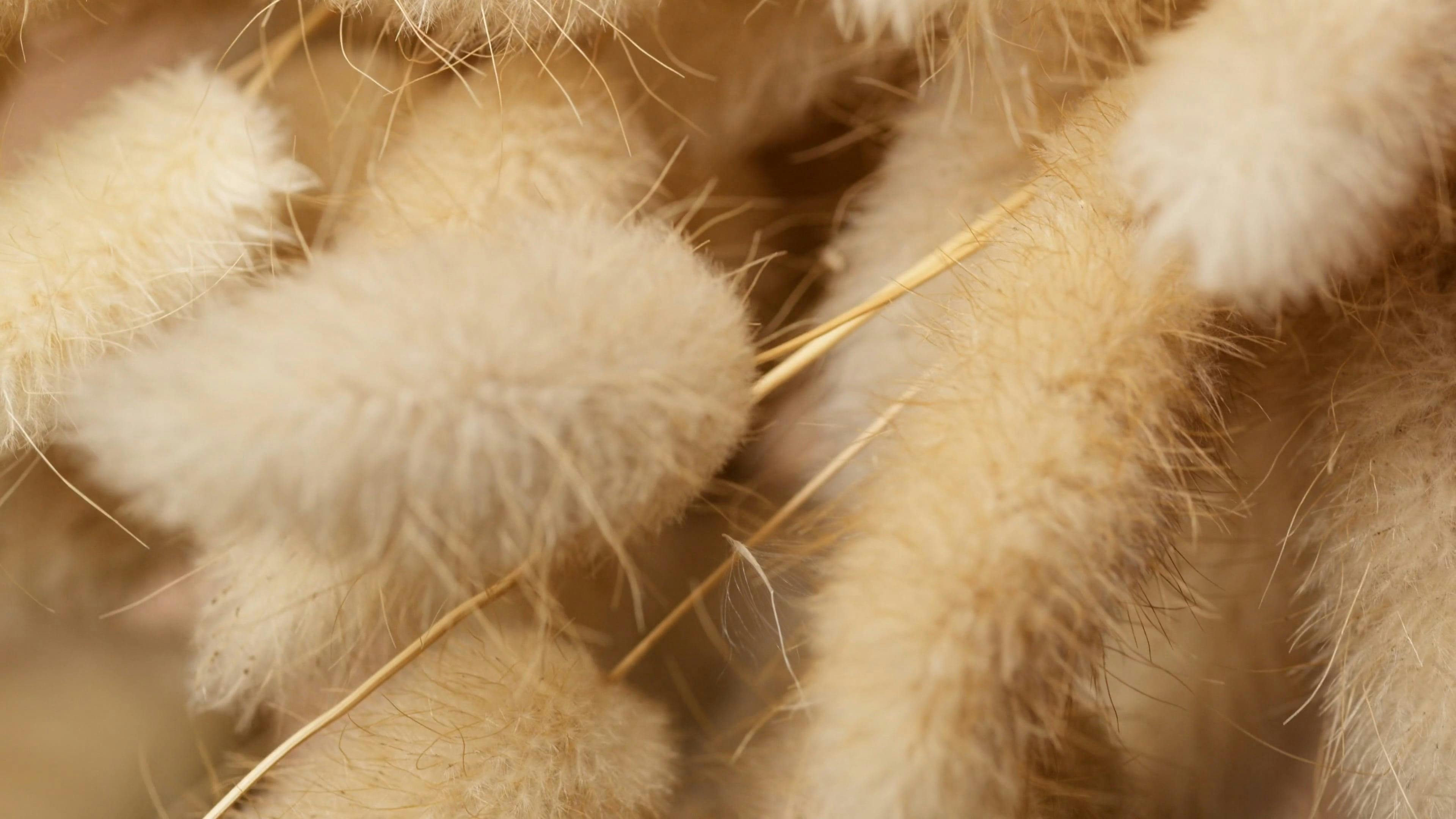 Fuzzy Texture Backgrounds Videos, Download The BEST Free 4k Stock Video ...