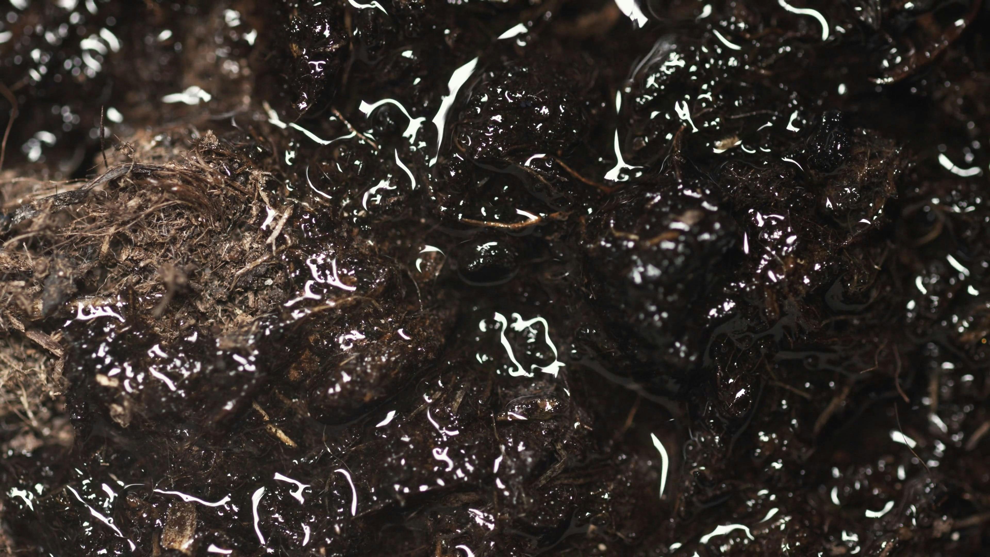 Soil Science Videos, Download The BEST Free 4k Stock Video Footage ...