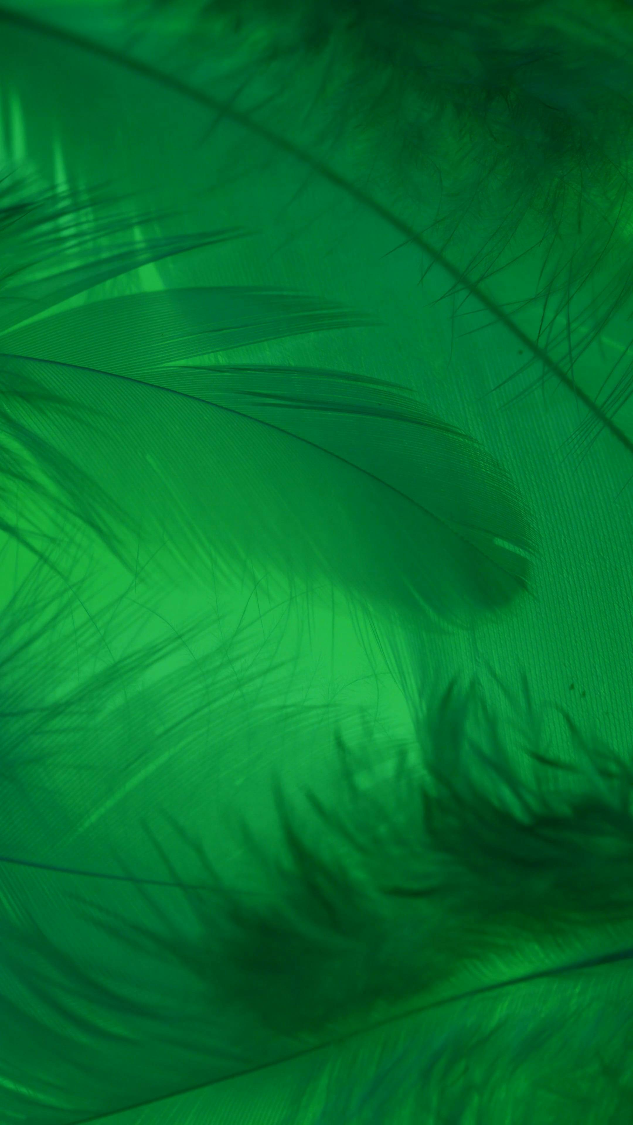 Transition Effects Videos, Download The BEST Free 4k Stock Video ...