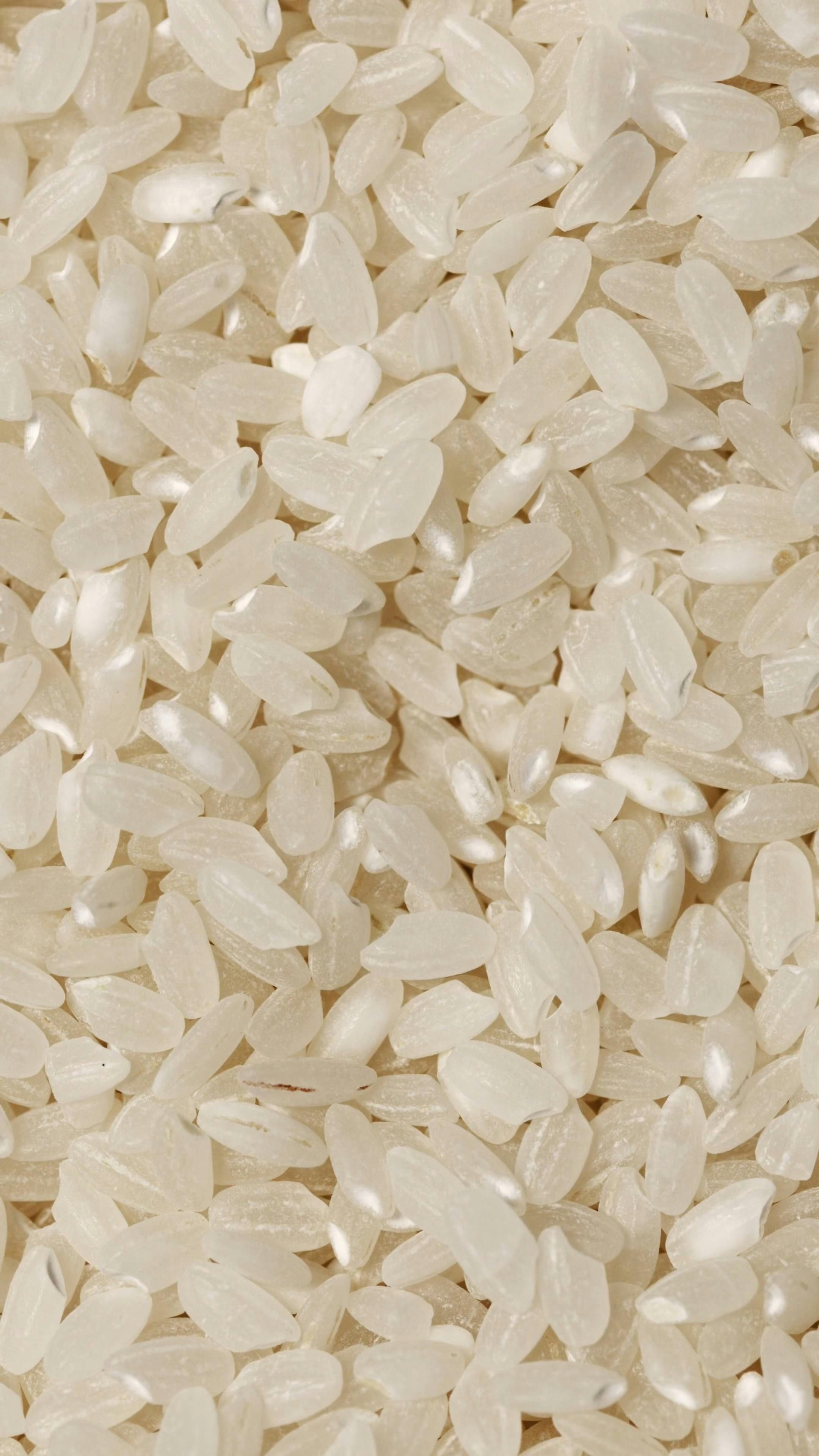 Grains of Rice · Free Stock Video