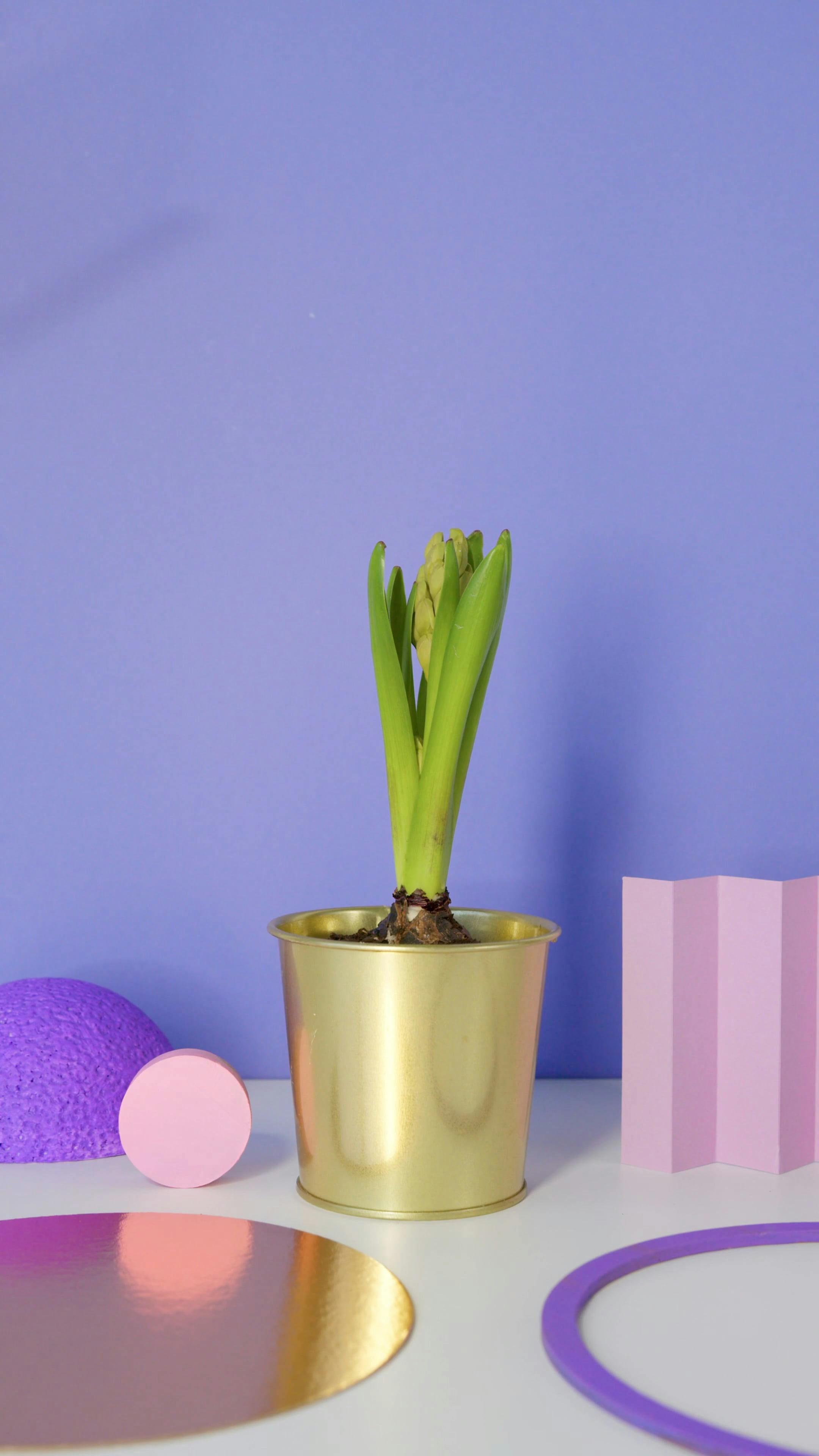 Colorful Aesthetic Videos, Download The BEST Free 4k Stock Video ...