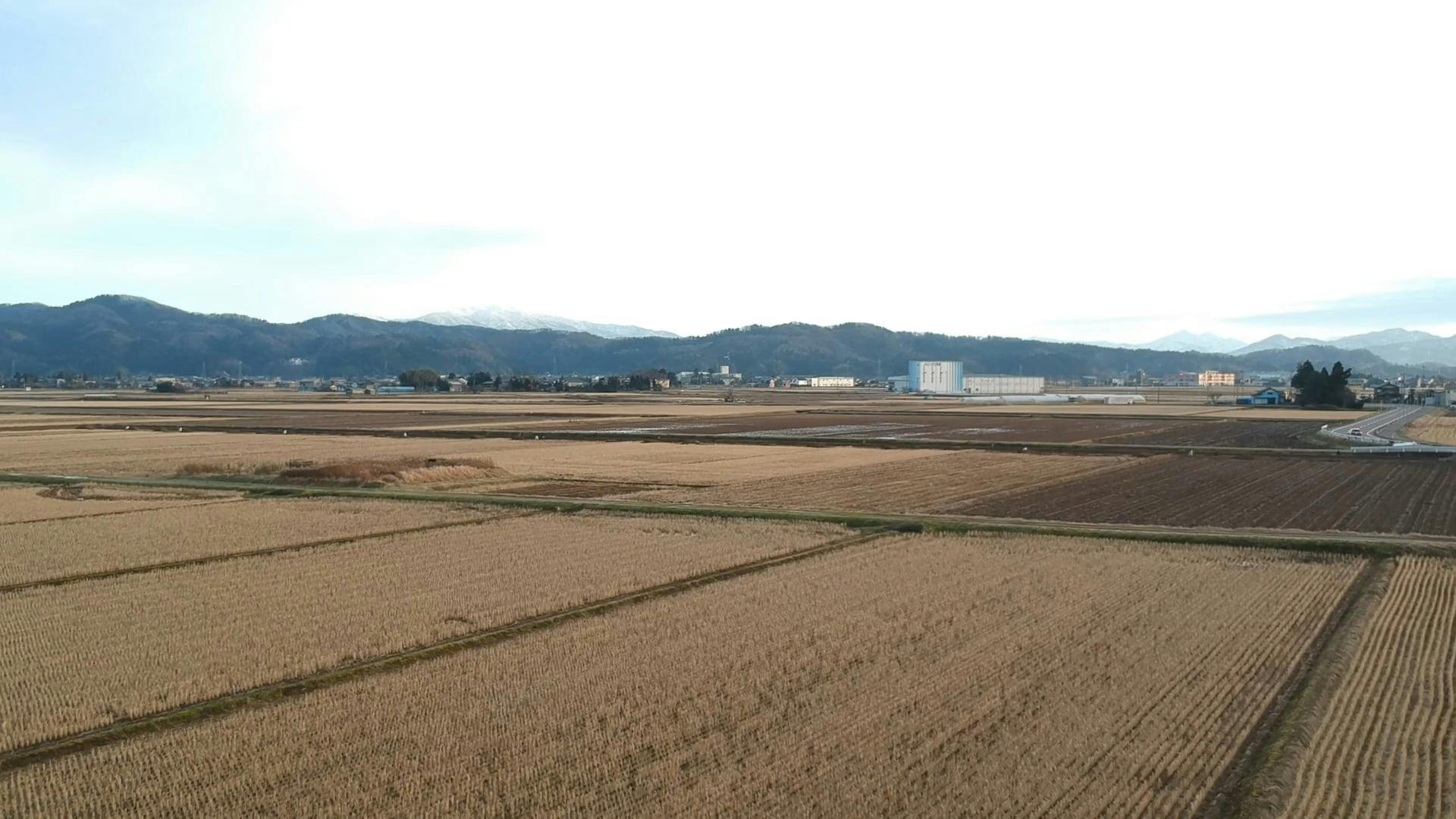 Till Last Videos, Download The BEST Free 4k Stock Video Footage & Till ...