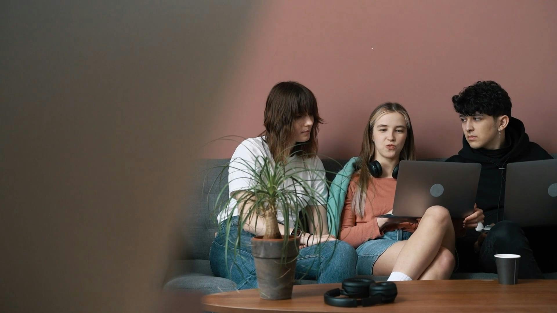 Programmers at Work Free Stock Video Footage, Royalty-Free 4K & HD ...