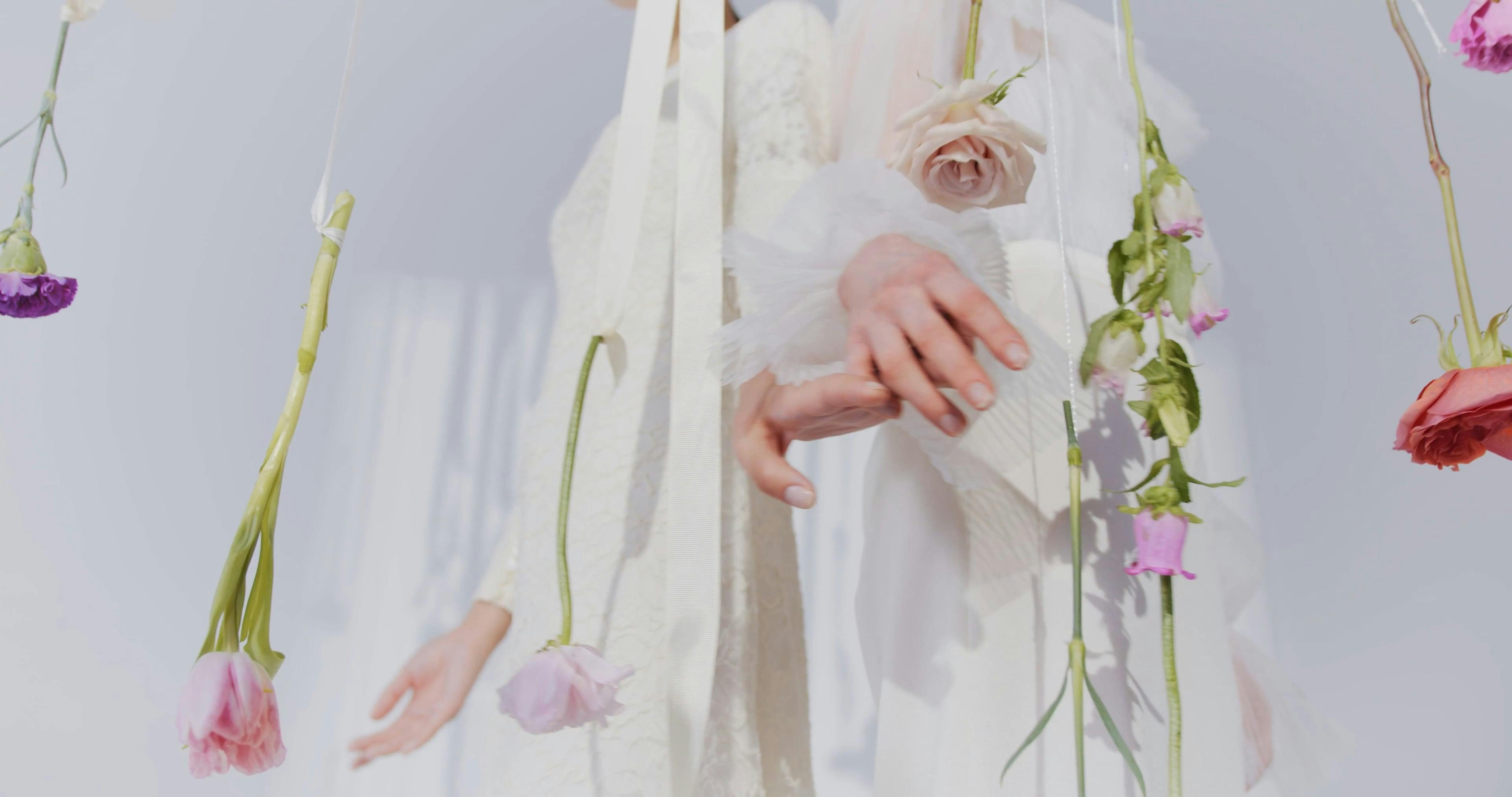 Vídeos de stock gratuitos sobre afecto, amable, amor, armonía, boda ...