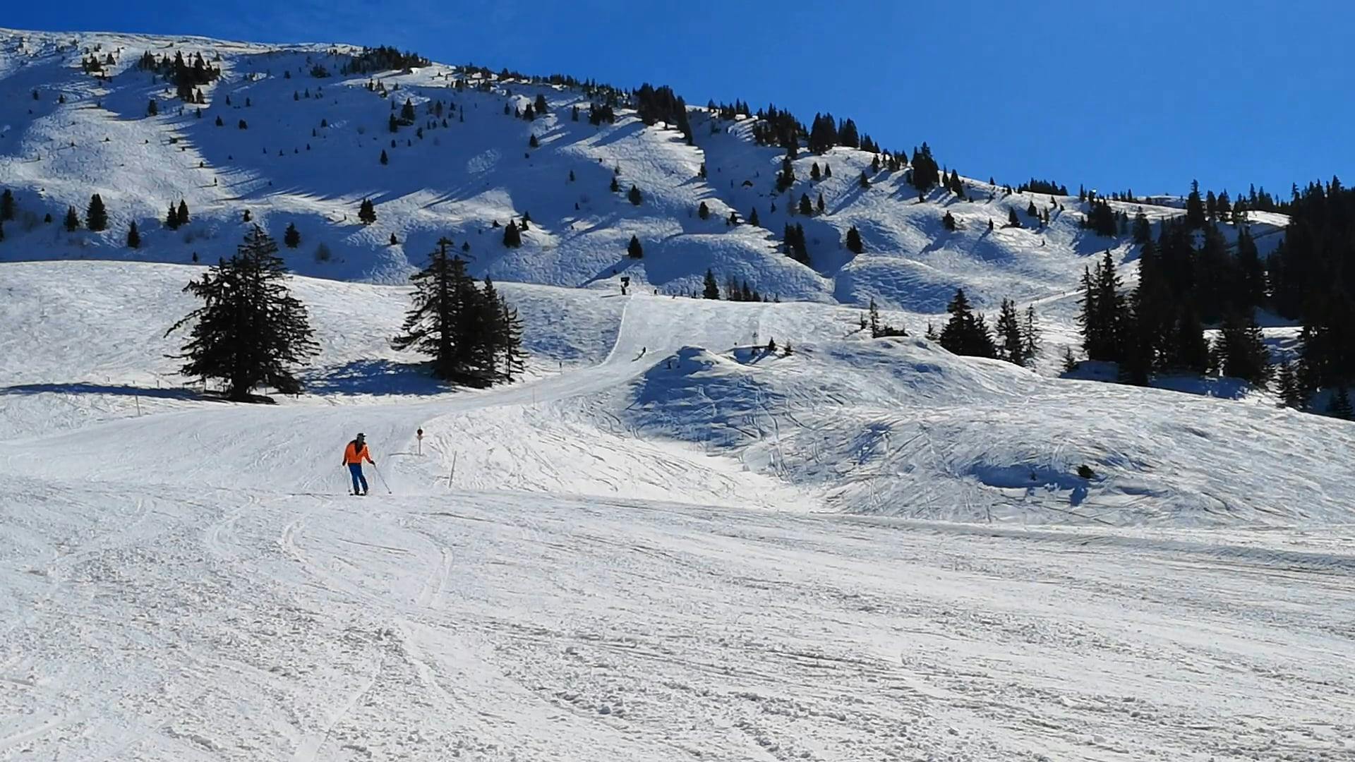 Alpine Track Videos, Download The BEST Free 4k Stock Video Footage ...