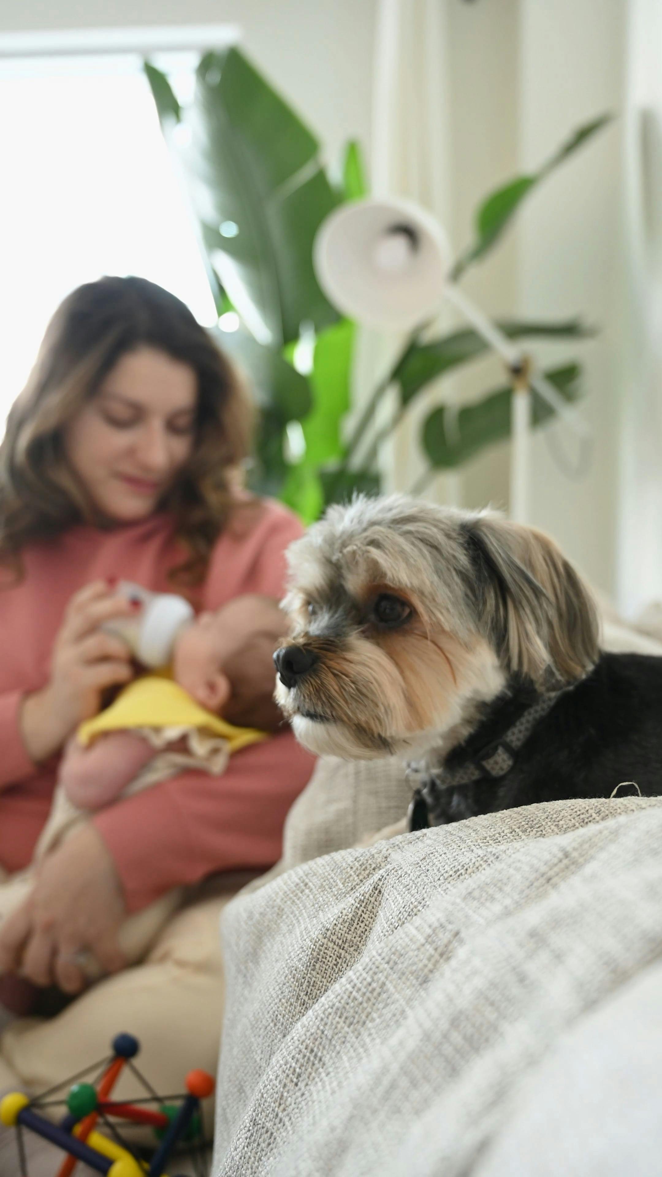 Yor Former Videos, Download The BEST Free 4k Stock Video Footage & Yor ...