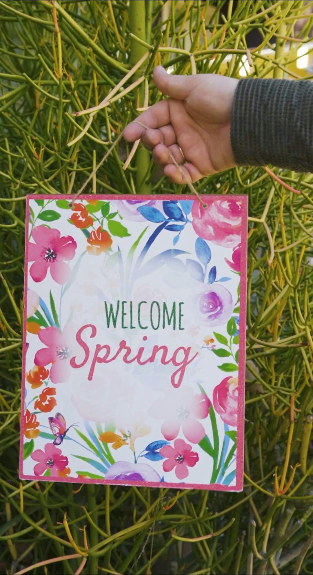 Welcome Spring Images Videos, Download The BEST Free 4k Stock Video ...