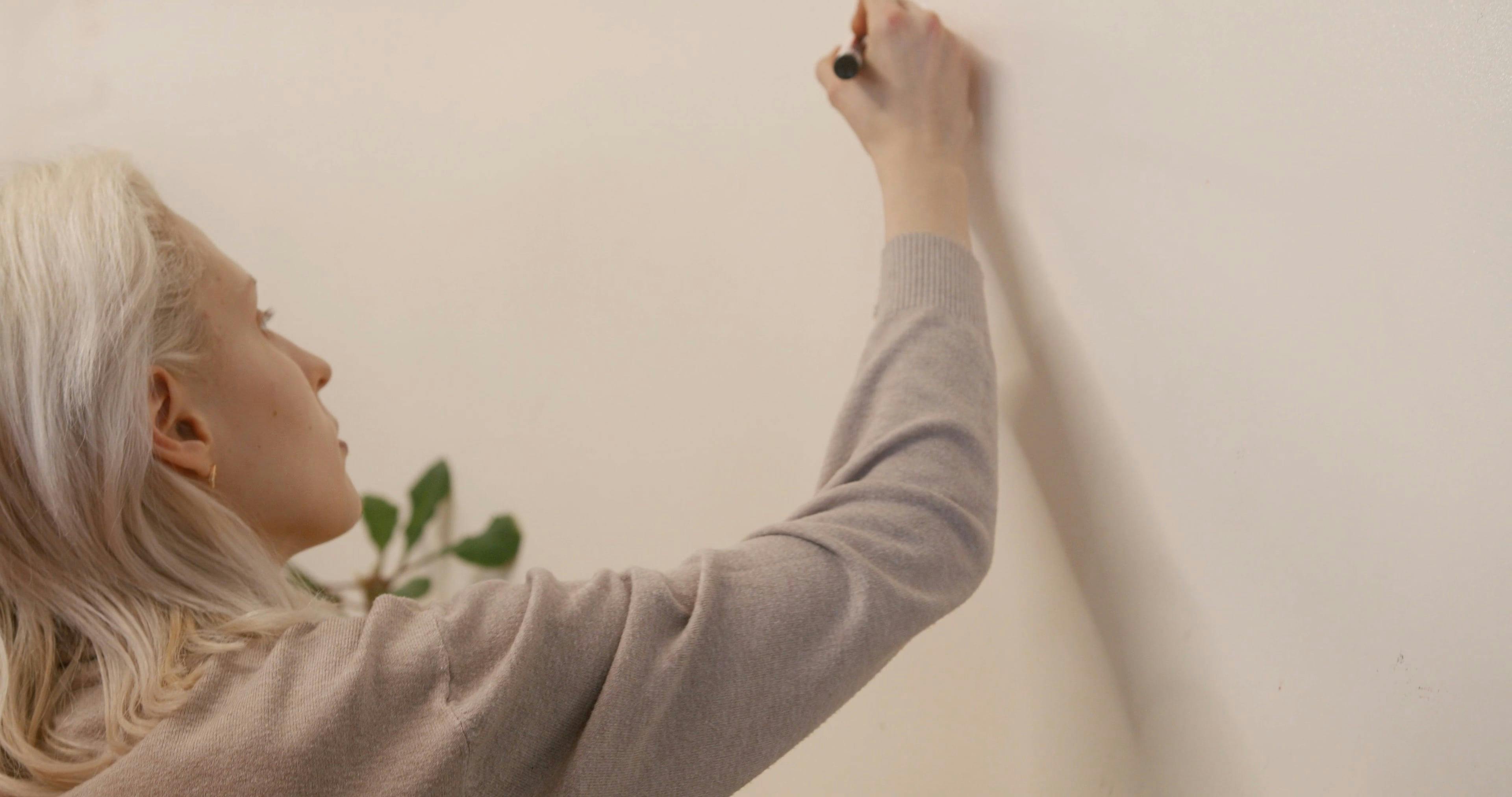 Plant Outline Drawings Videos, Download The BEST Free 4k Stock Video ...