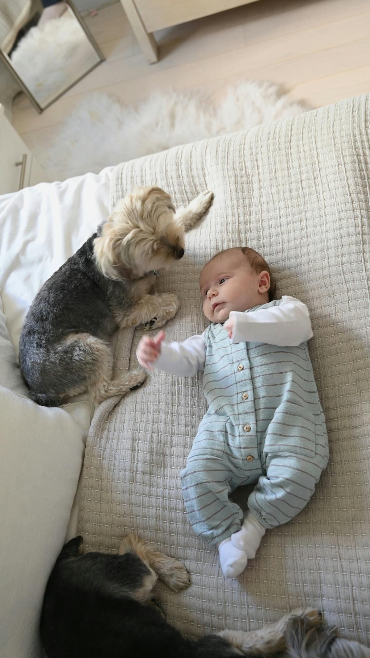 Baby Animation Videos, Download The BEST Free 4k Stock Video Footage ...