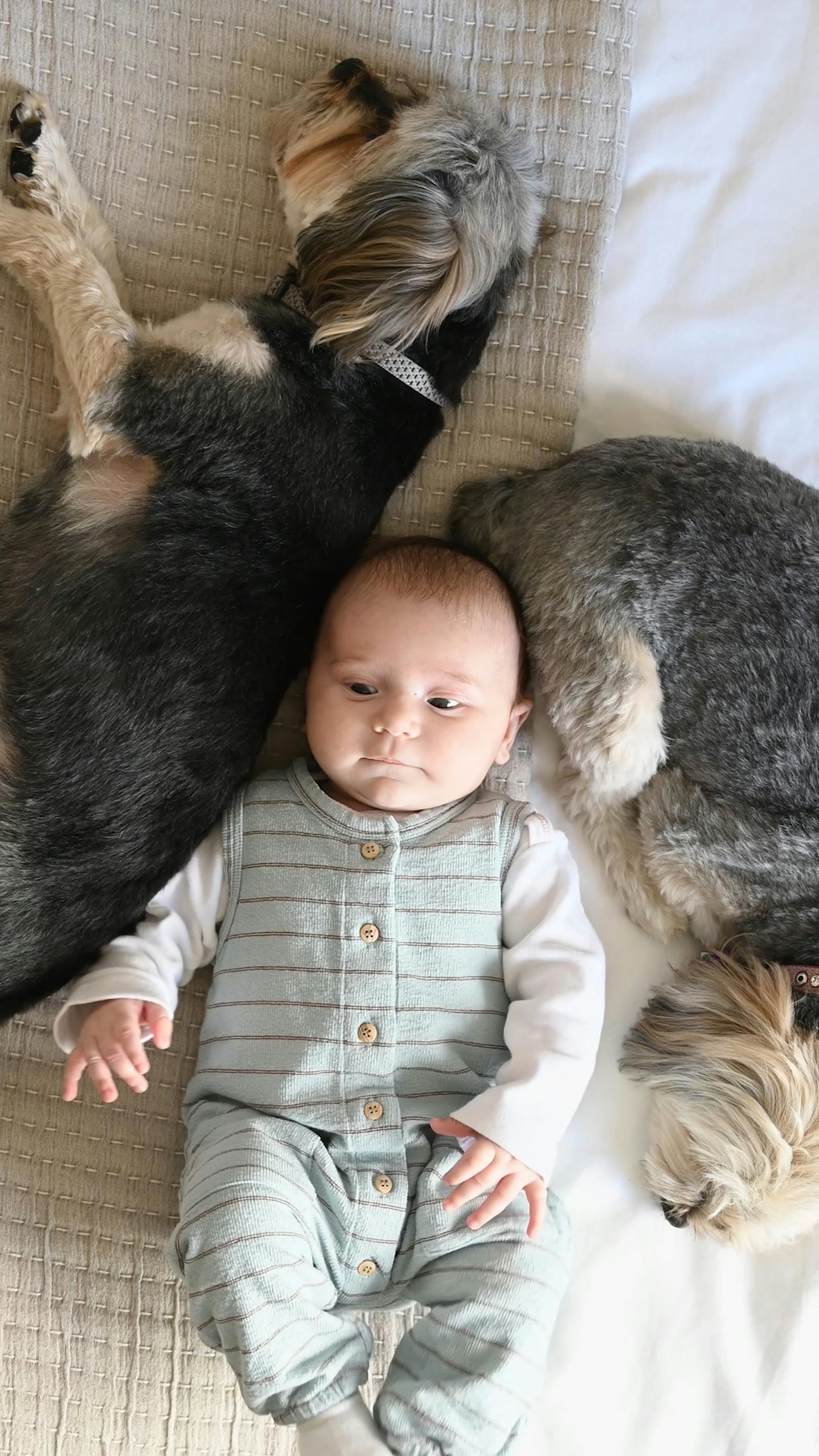 Cute Baby Videos, Download The BEST Free 4k Stock Video Footage & Cute ...