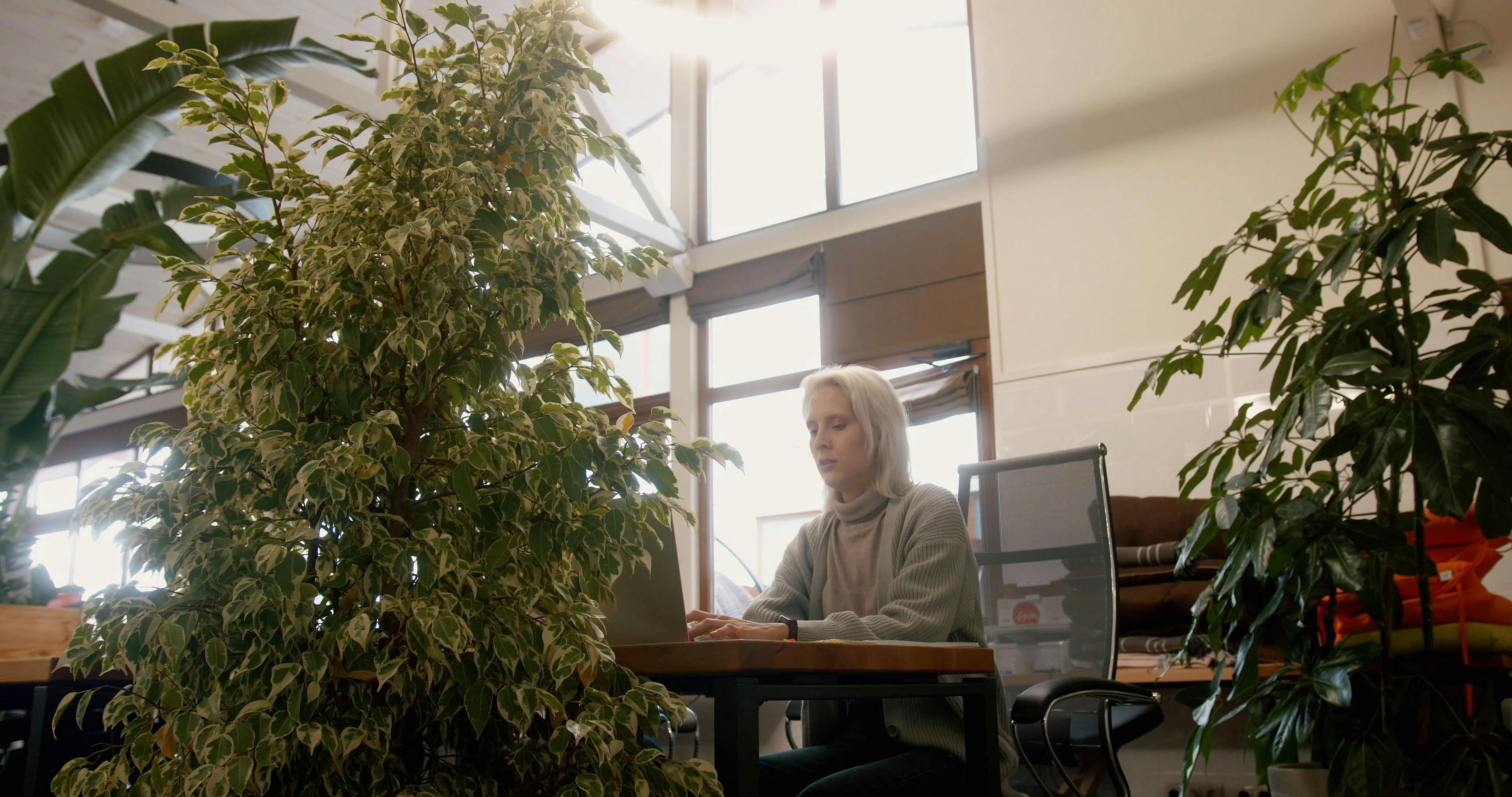 Flexible Work Hours Videos, Download The BEST Free 4k Stock Video ...