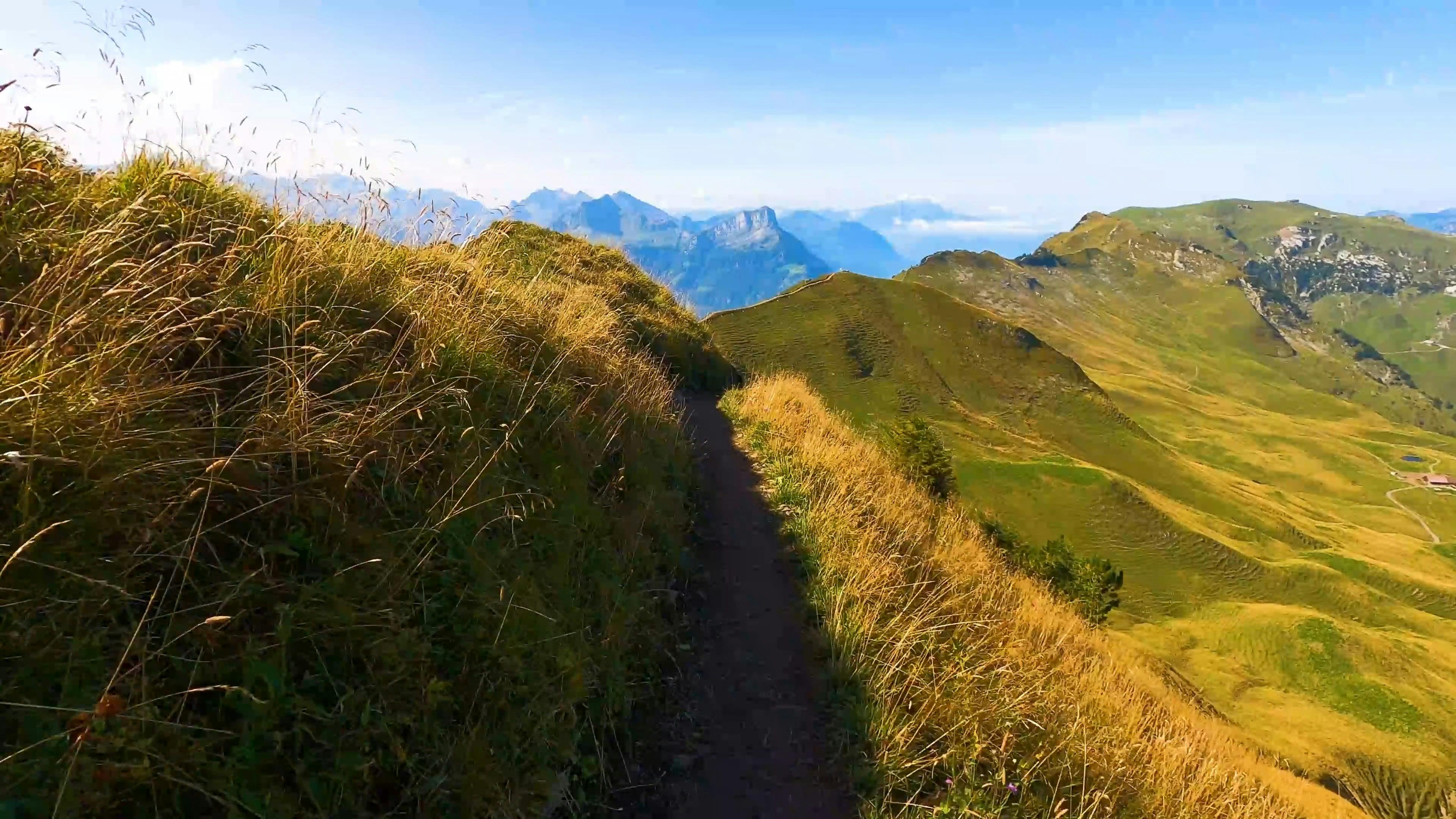 A Beautiful View Of Landscape · Free Stock Video