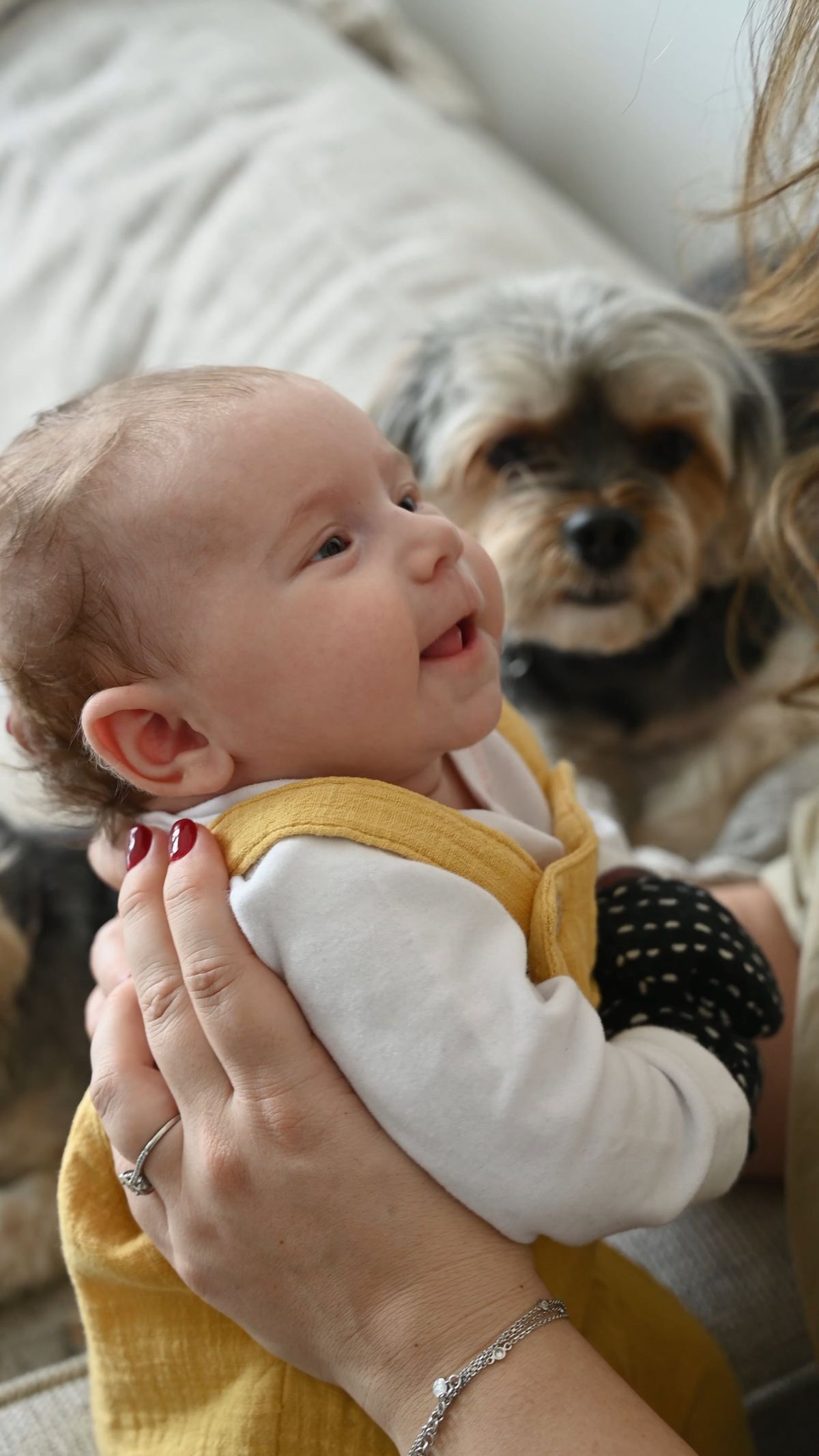 Dogs Playing Videos, Download The BEST Free 4k Stock Video Footage ...