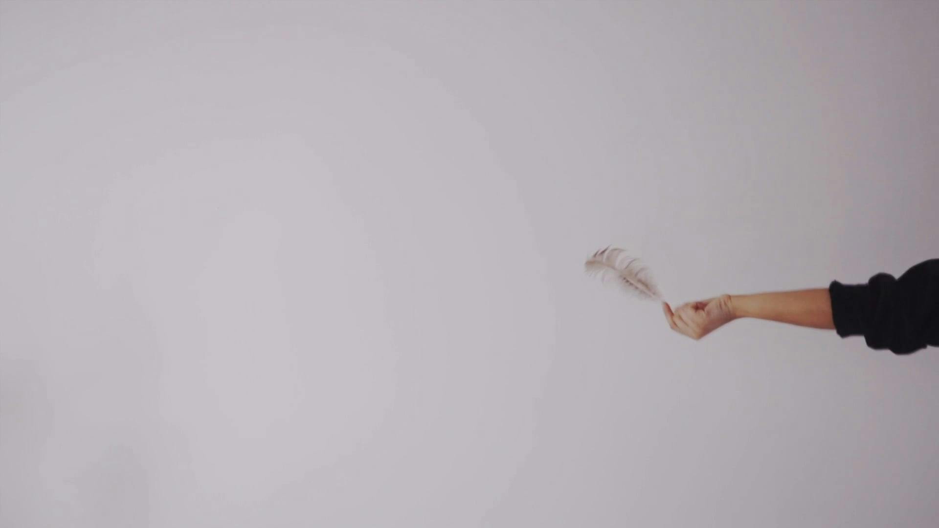 A Falling Feather Free Stock Video Footage, Royalty-Free 4K & HD Video Clip