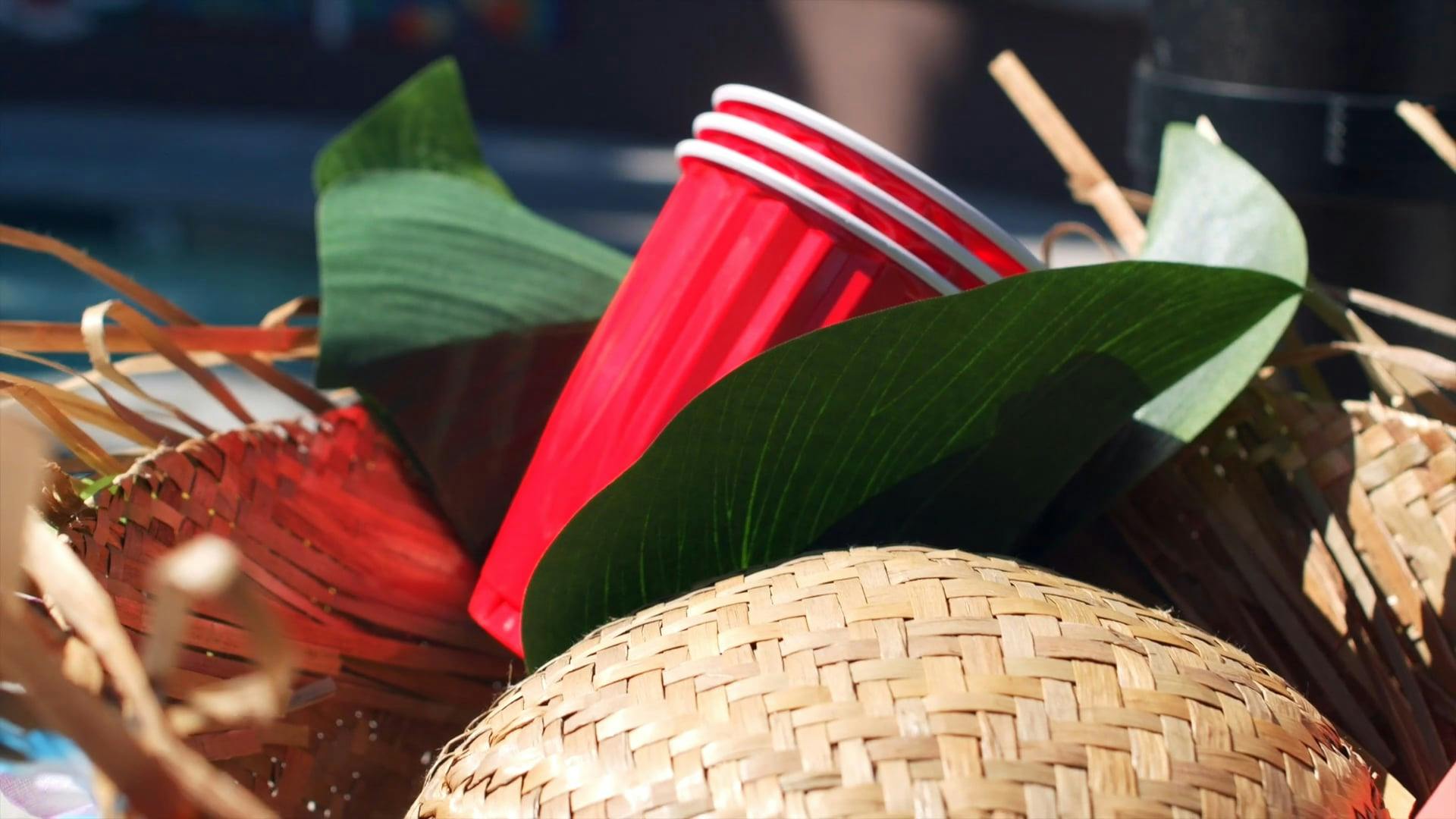 Say No To Plastic Videos, Download The BEST Free 4k Stock Video Footage ...