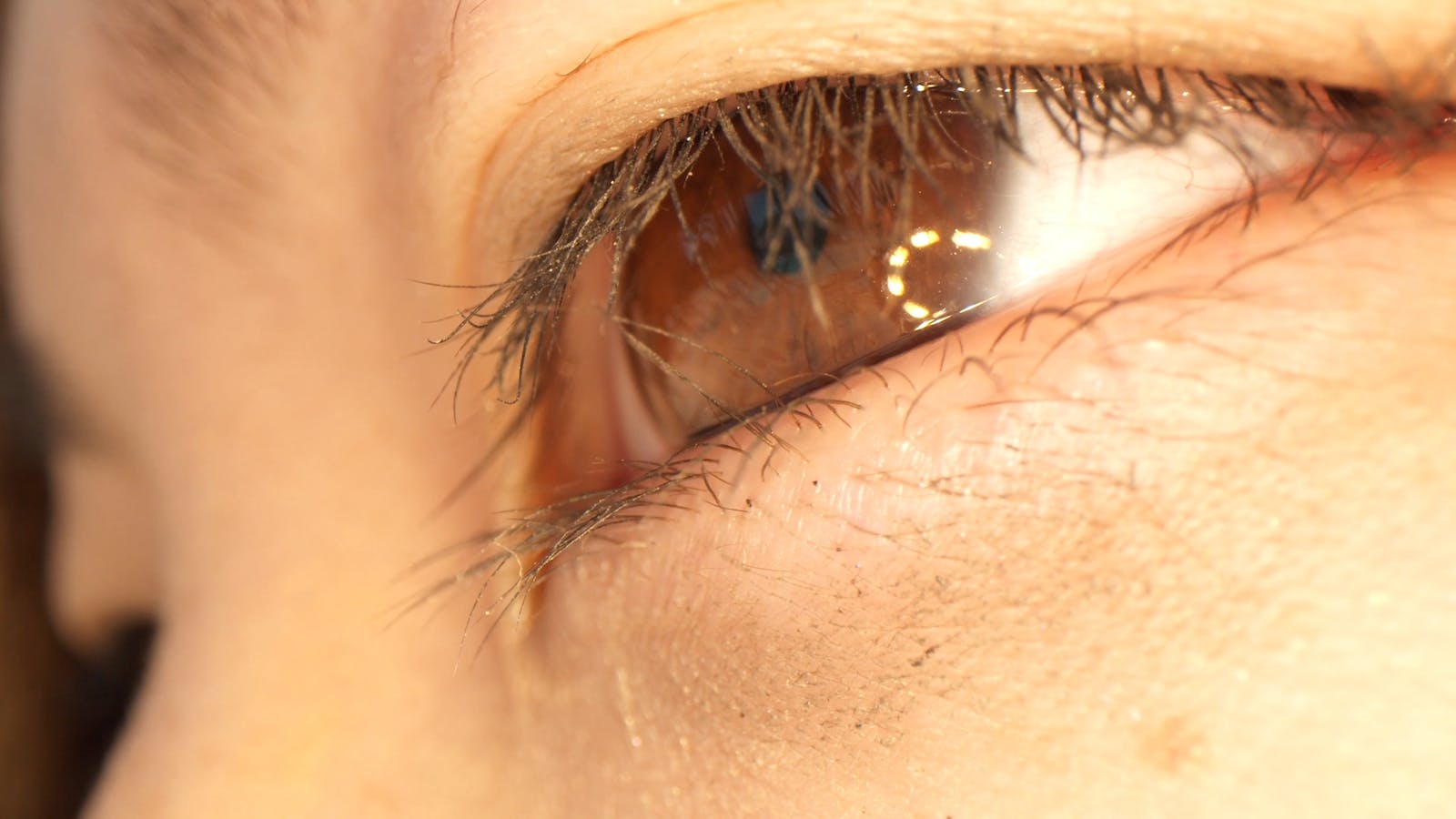 Eye Blink Videos, Download Free 4k Stock Video Footage & Eye Blink HD ...