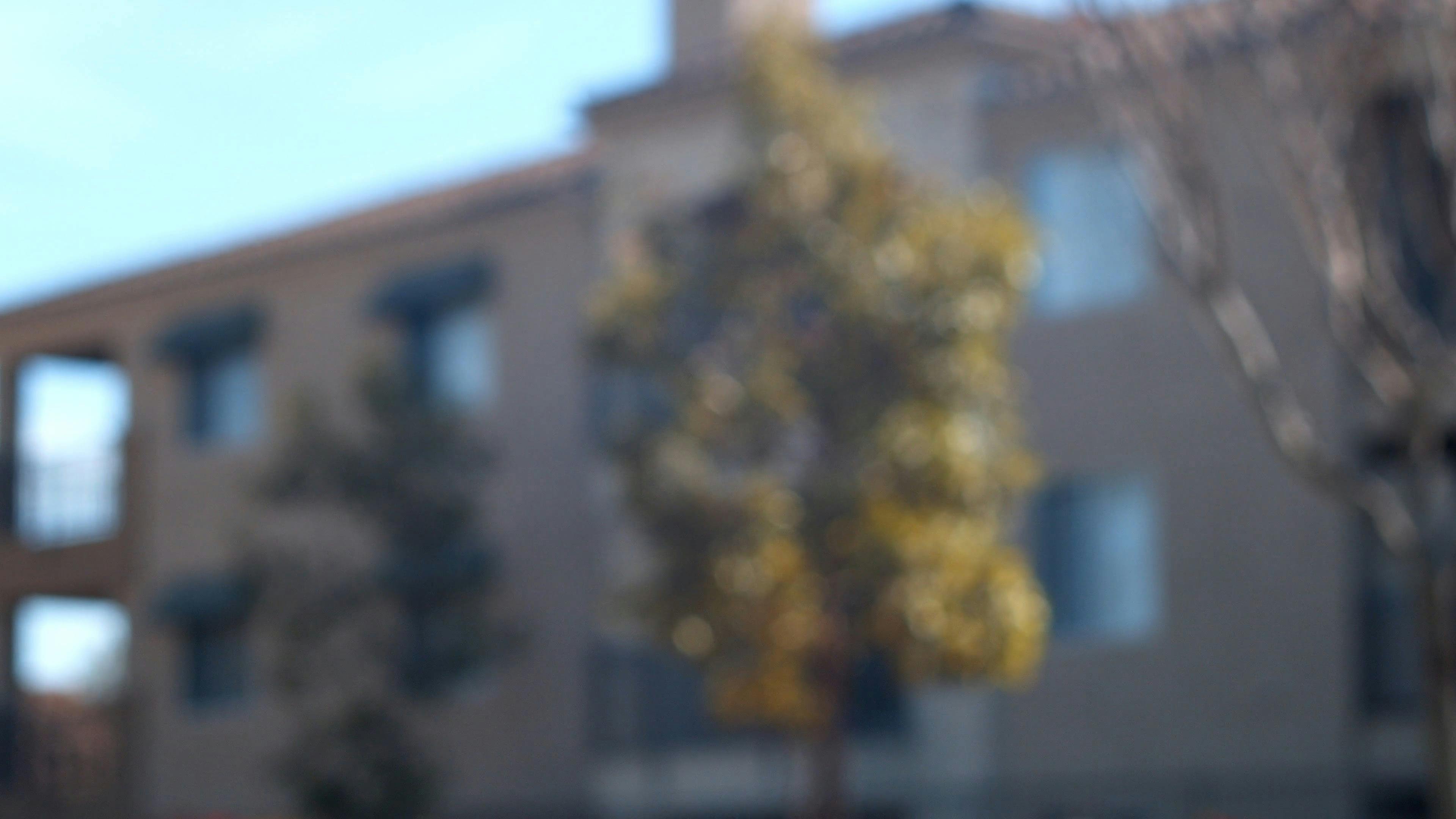 Approved Building Videos, Download The BEST Free 4k Stock Video Footage ...