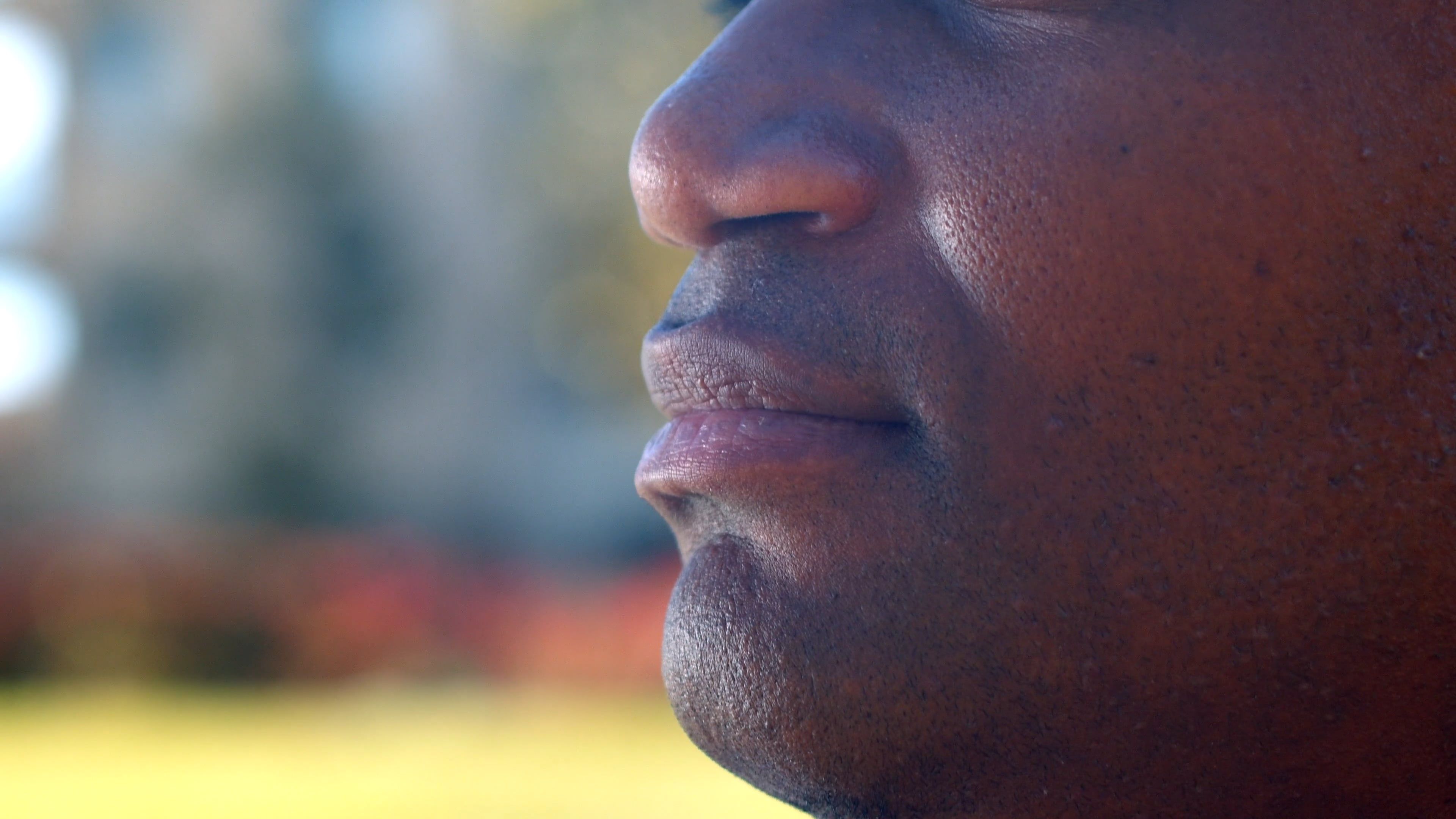 Anatomy Of Nose Videos, Download The BEST Free 4k Stock Video Footage ...