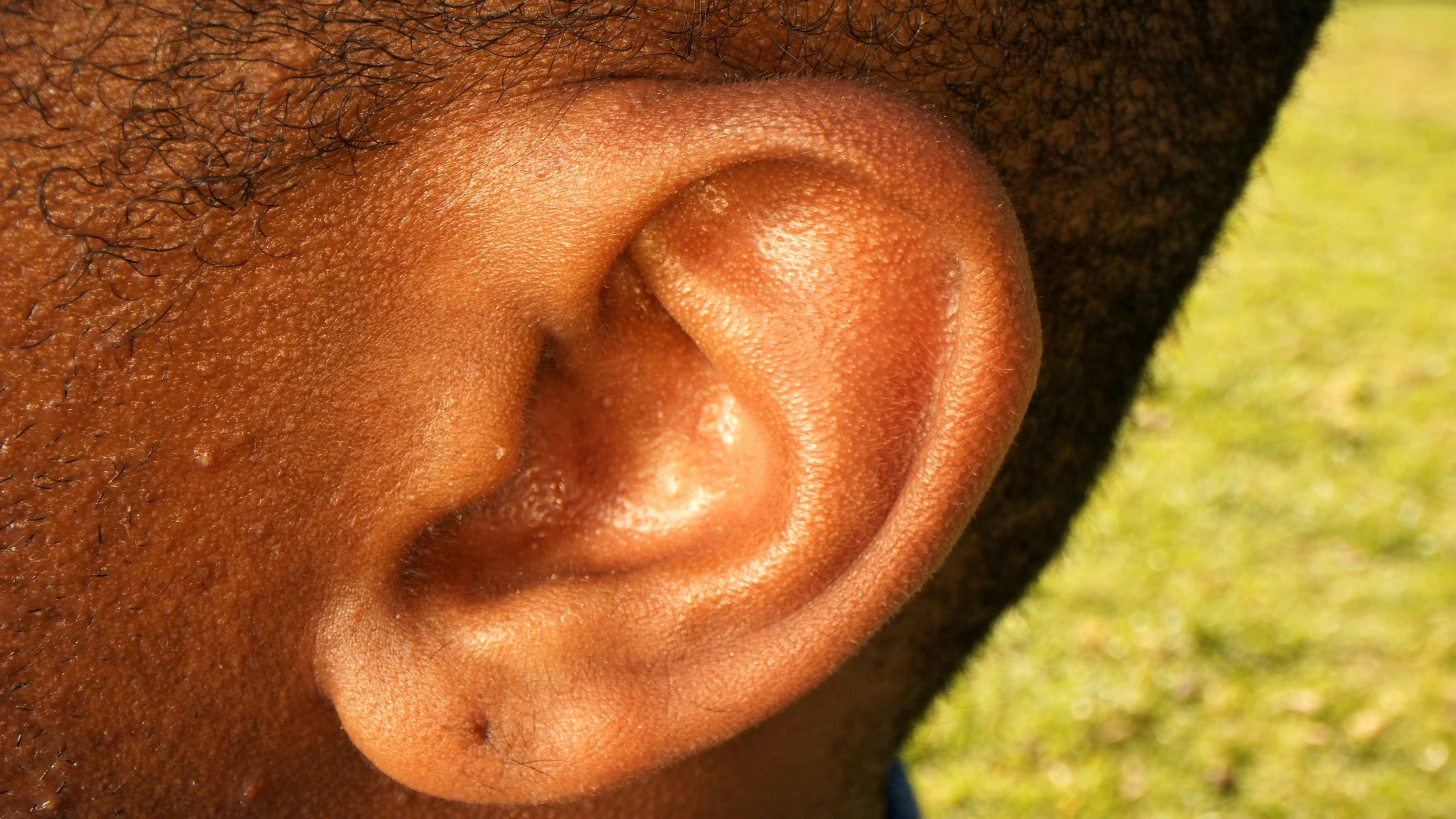 Ear Anatomy Videos, Download The BEST Free 4k Stock Video Footage & Ear ...