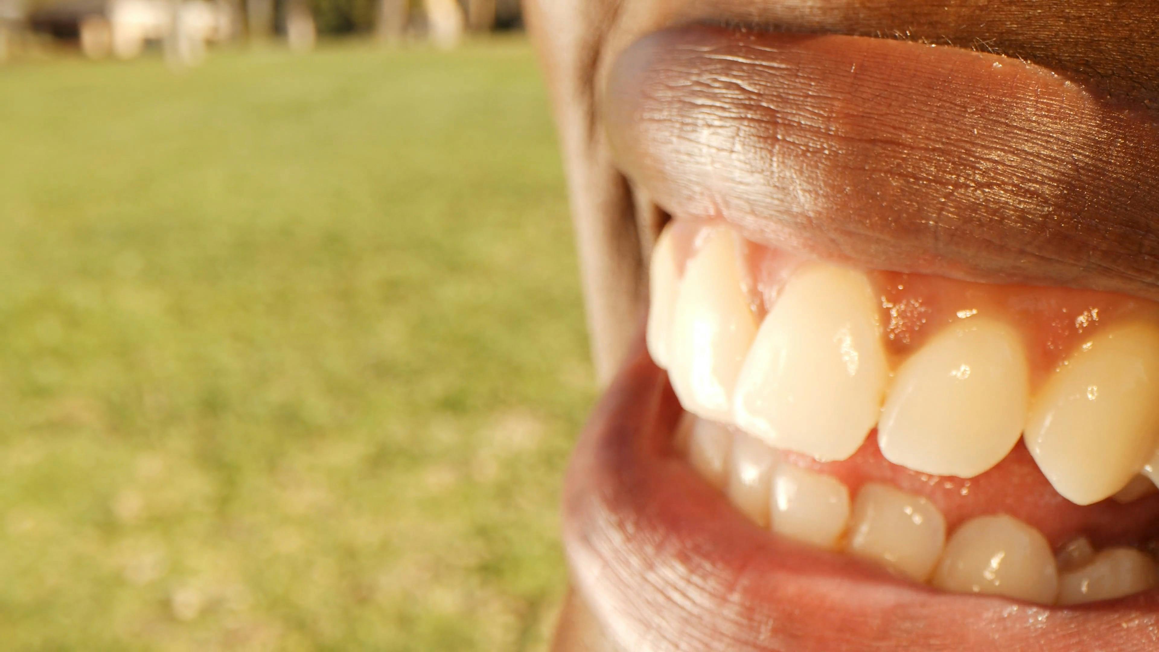 Perfect Teeth Videos, Download The BEST Free 4k Stock Video Footage ...
