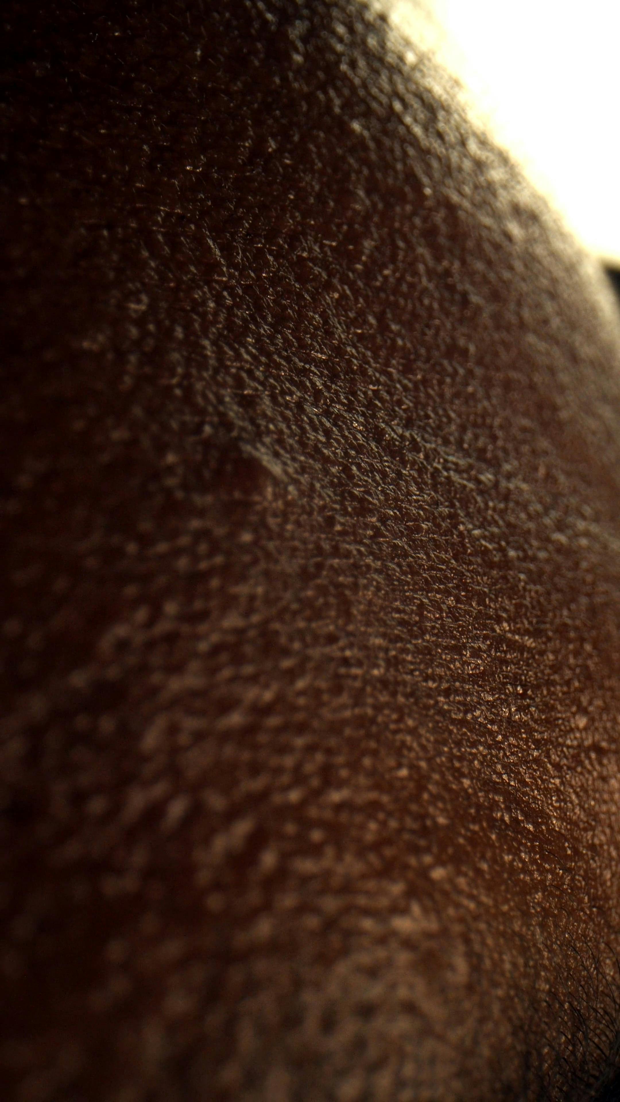 Men Face Videos, Download The BEST Free 4k Stock Video Footage & Men ...