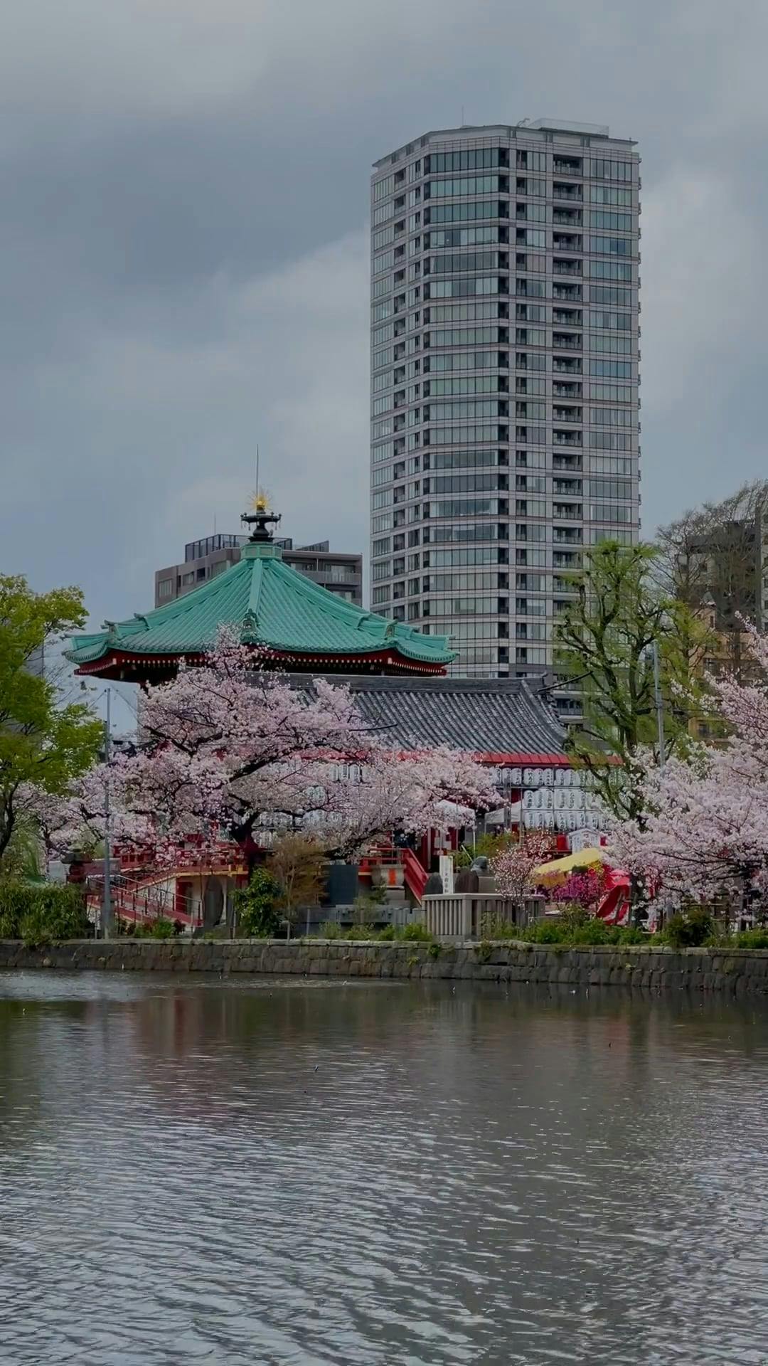 Skyscraper In Japan Videos, Download The BEST Free 4k Stock Video ...