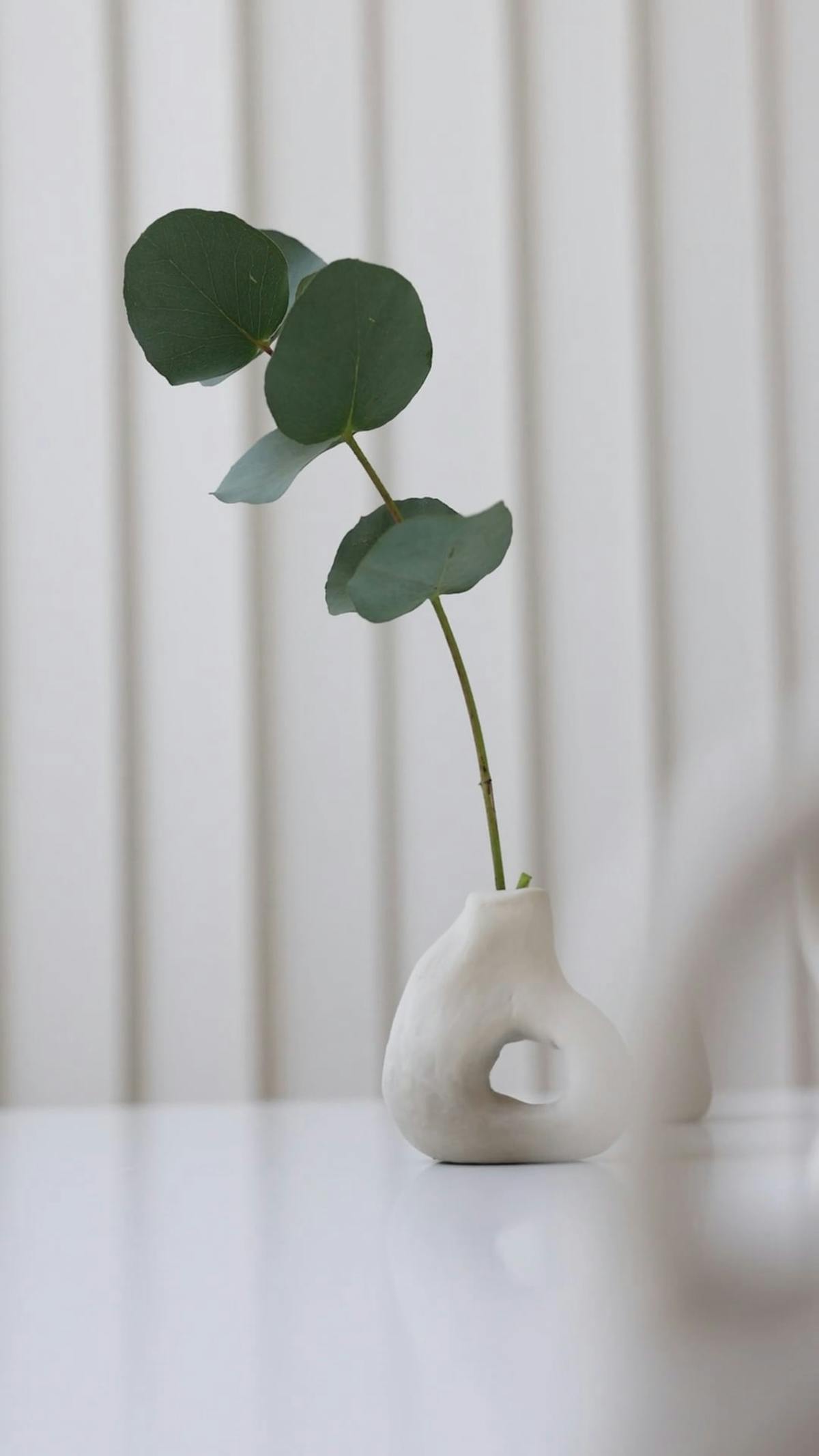 Clay Videos, Download The BEST Free 4k Stock Video Footage & Clay HD ...