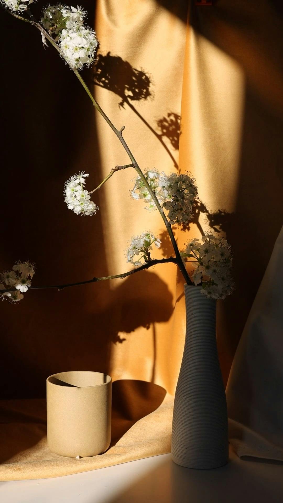 Simple Design Videos, Download The BEST Free 4k Stock Video Footage ...