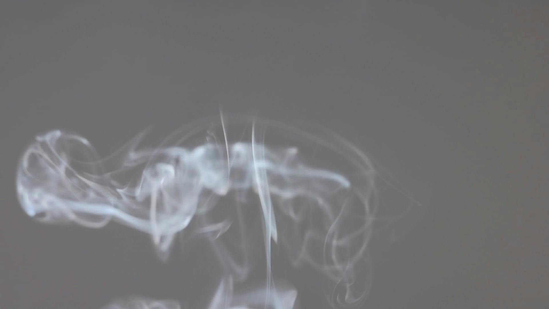 Thin Smoke Videos, Download The BEST Free 4k Stock Video Footage & Thin ...