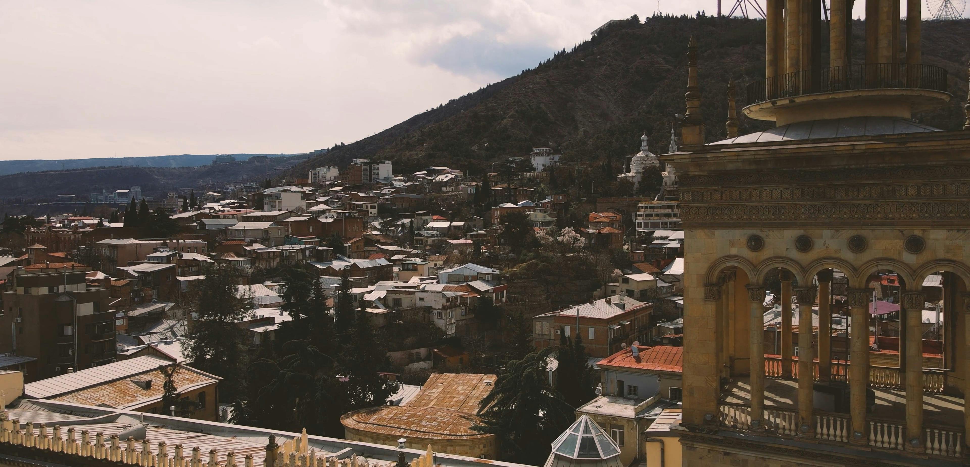 Birds Elevation Videos, Download The BEST Free 4k Stock Video Footage ...