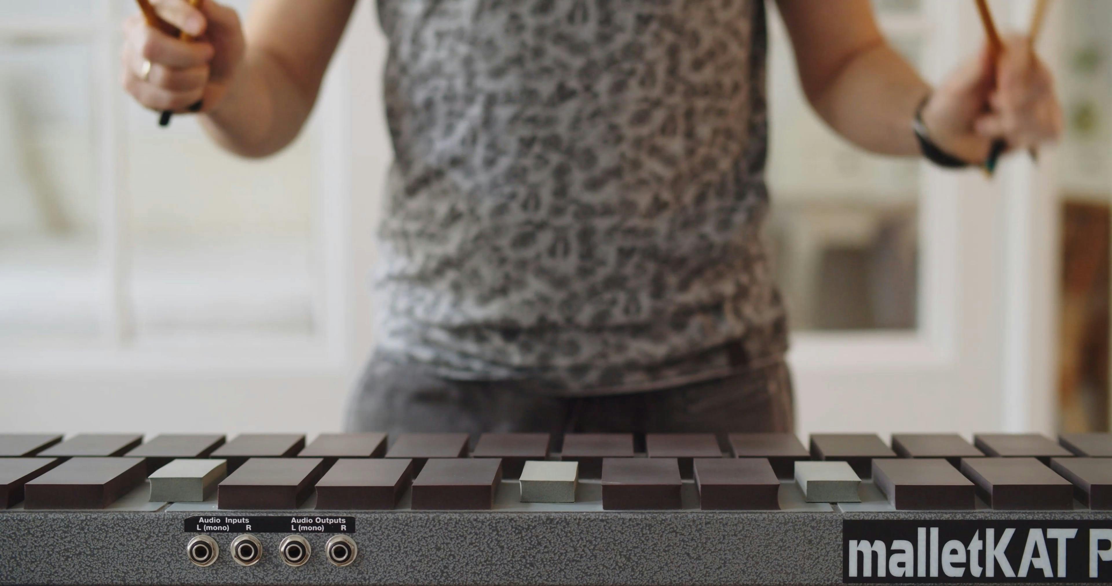 Malletkat Videos, Download The BEST Free 4k Stock Video Footage & Malletkat HD Video Clips