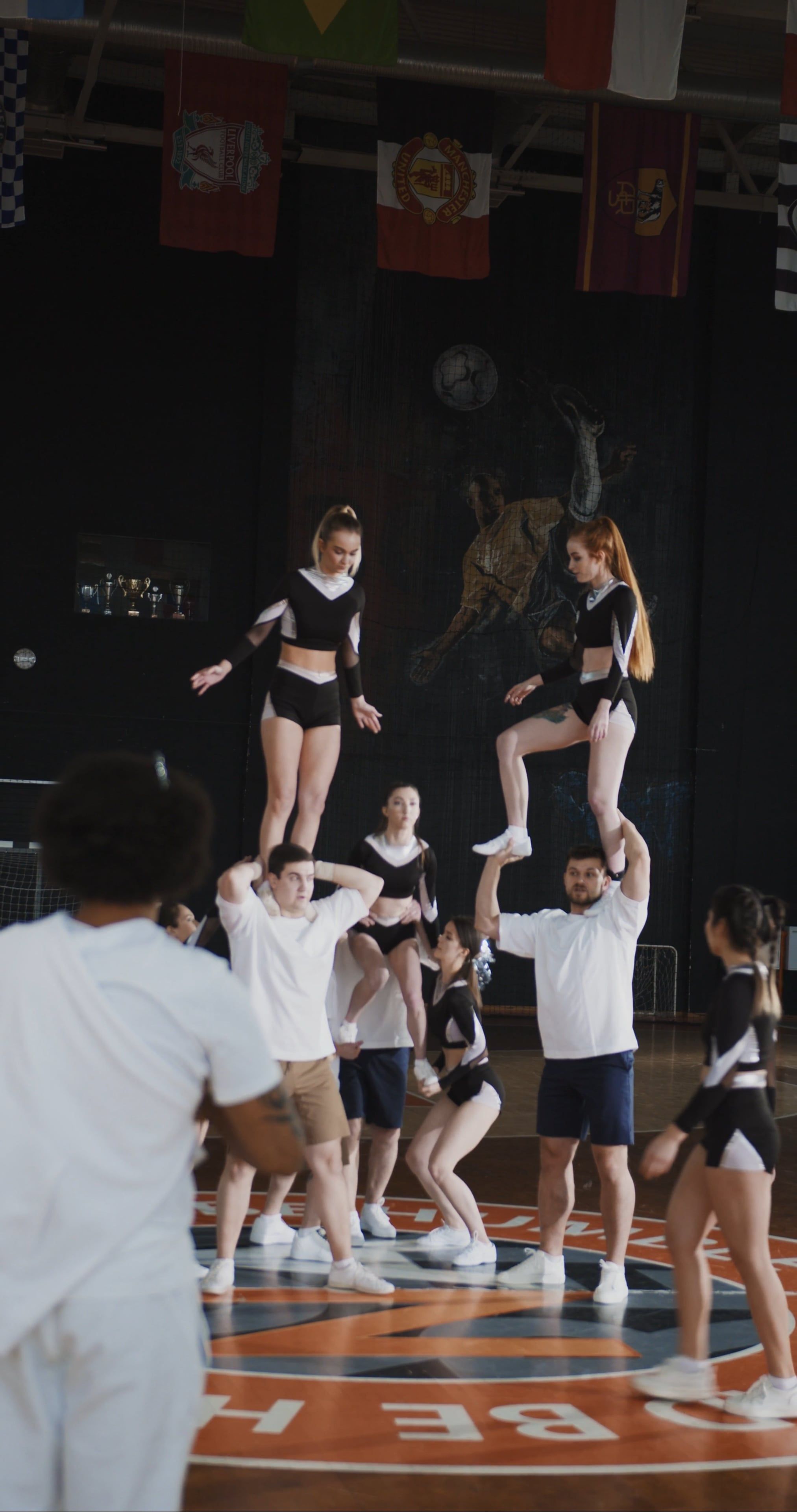 Pom Videos, Download The BEST Free 4k Stock Video Footage & Pom HD ...