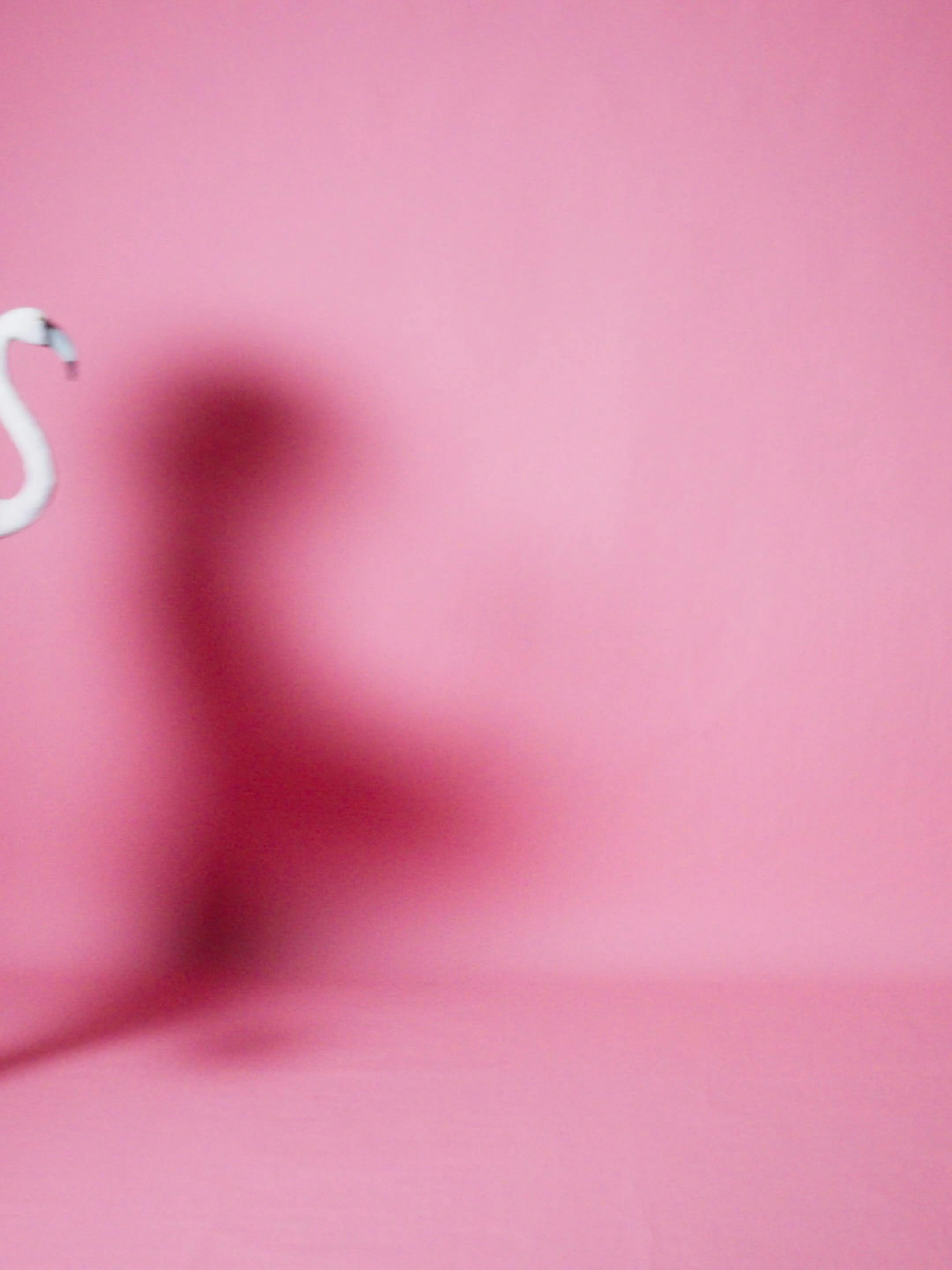 Instagram Girl Videos, Download The BEST Free 4k Stock Video Footage ...