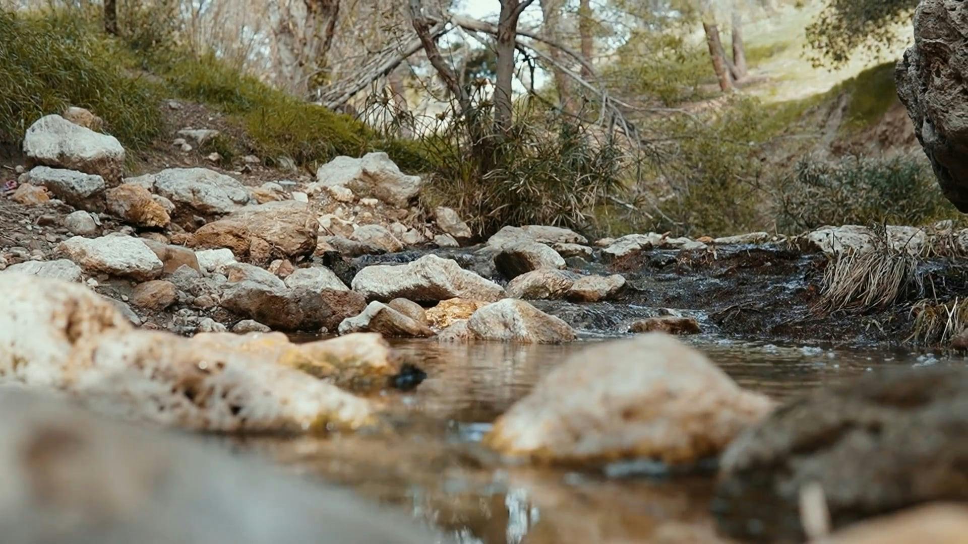 Stream Of Water Passing Through Rock Formations In A Forest · Free ...