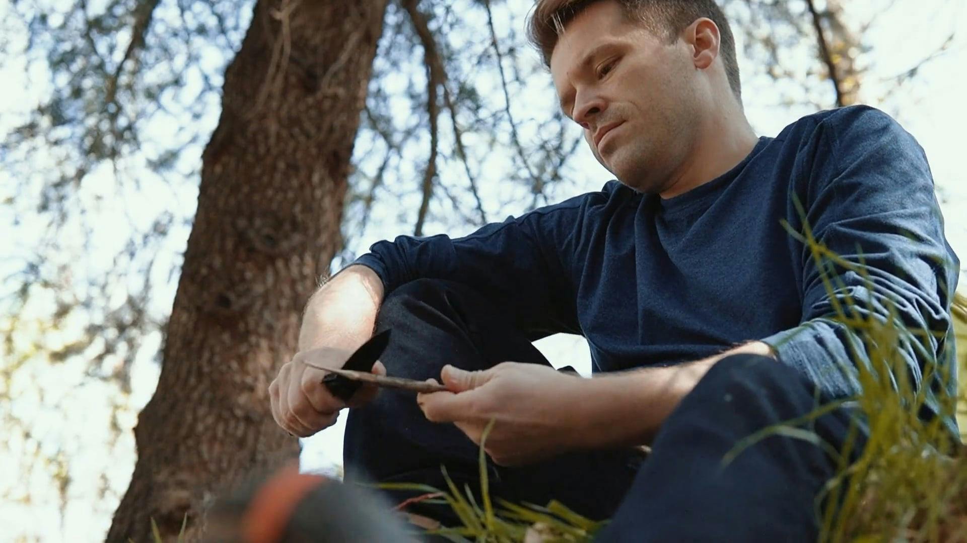 Survival Forest Videos, Download The BEST Free 4k Stock Video Footage ...