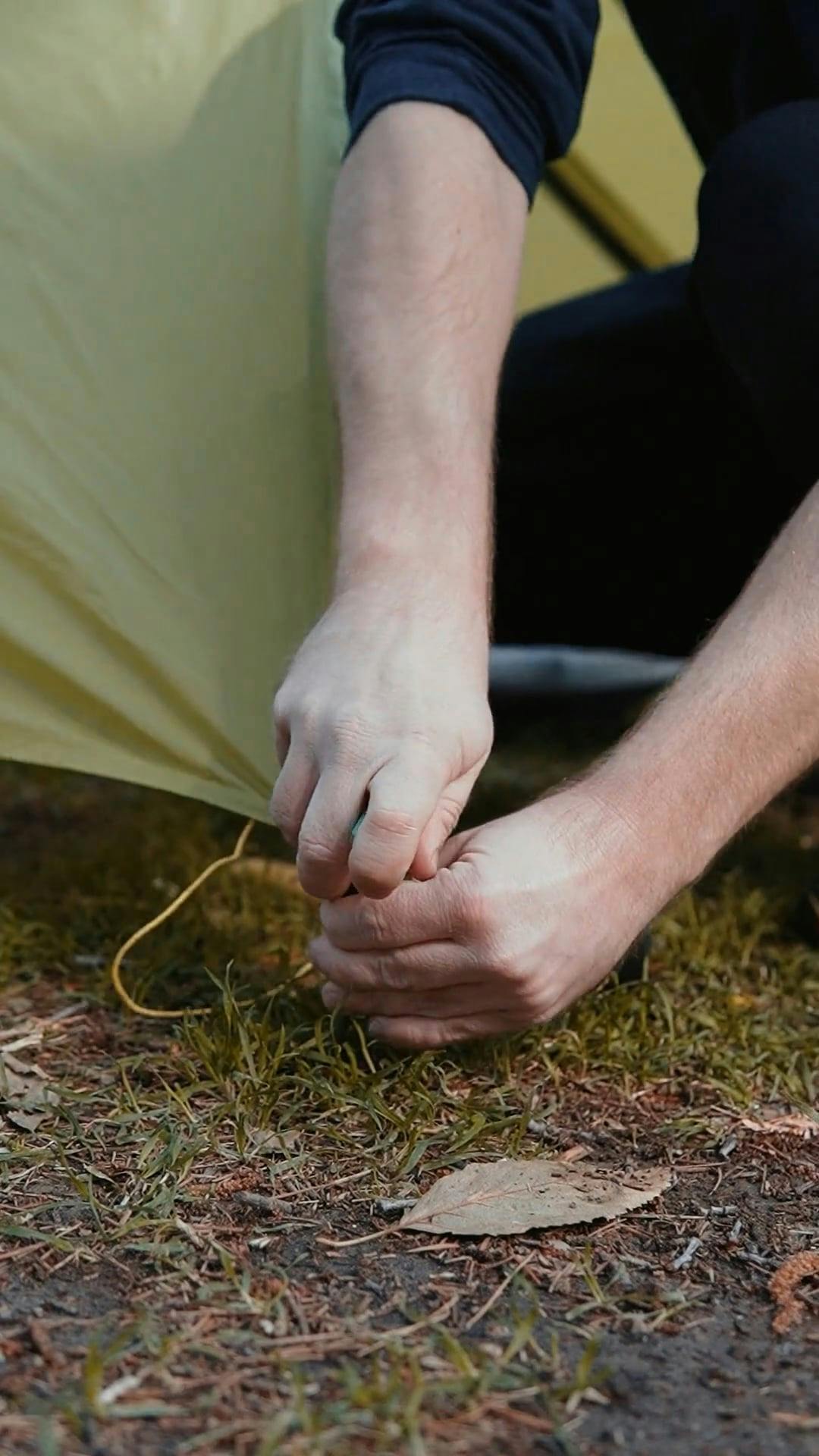 Stake Videos, Download The BEST Free 4k Stock Video Footage & Stake HD ...