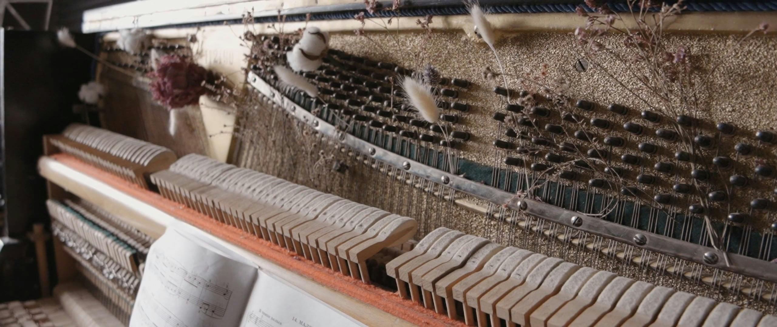 Harmony Mechanics Videos, Download The BEST Free 4k Stock Video Footage ...