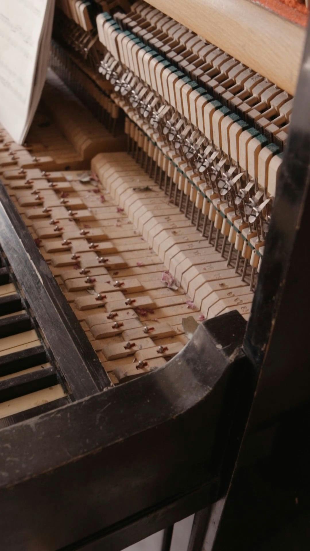 Vertical Piano Videos, Download The BEST Free 4k Stock Video Footage ...